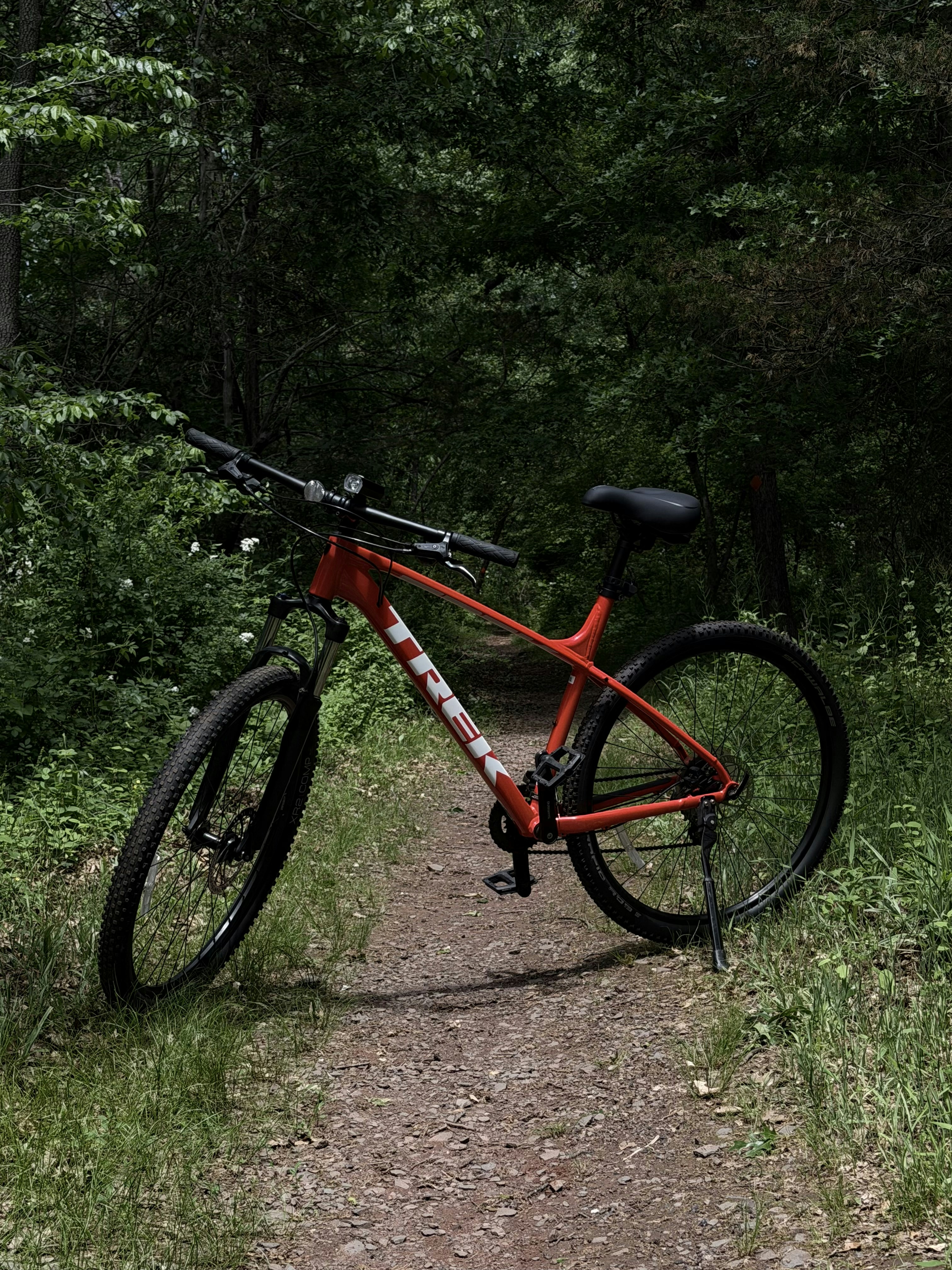 Red Mountain Bike on a Forest Trail