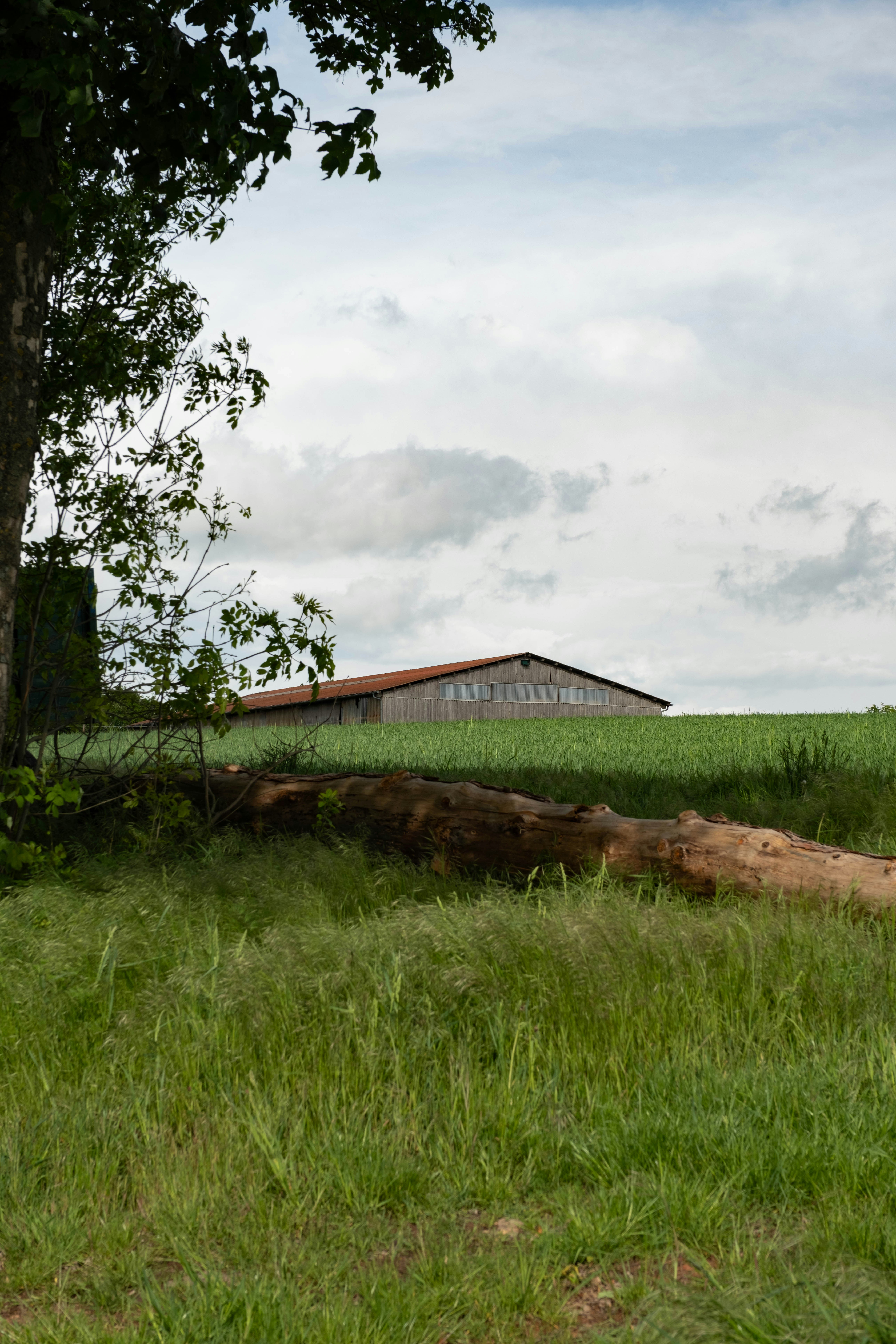 Sunlit Barn Silhouette Beneath a Quiet Field