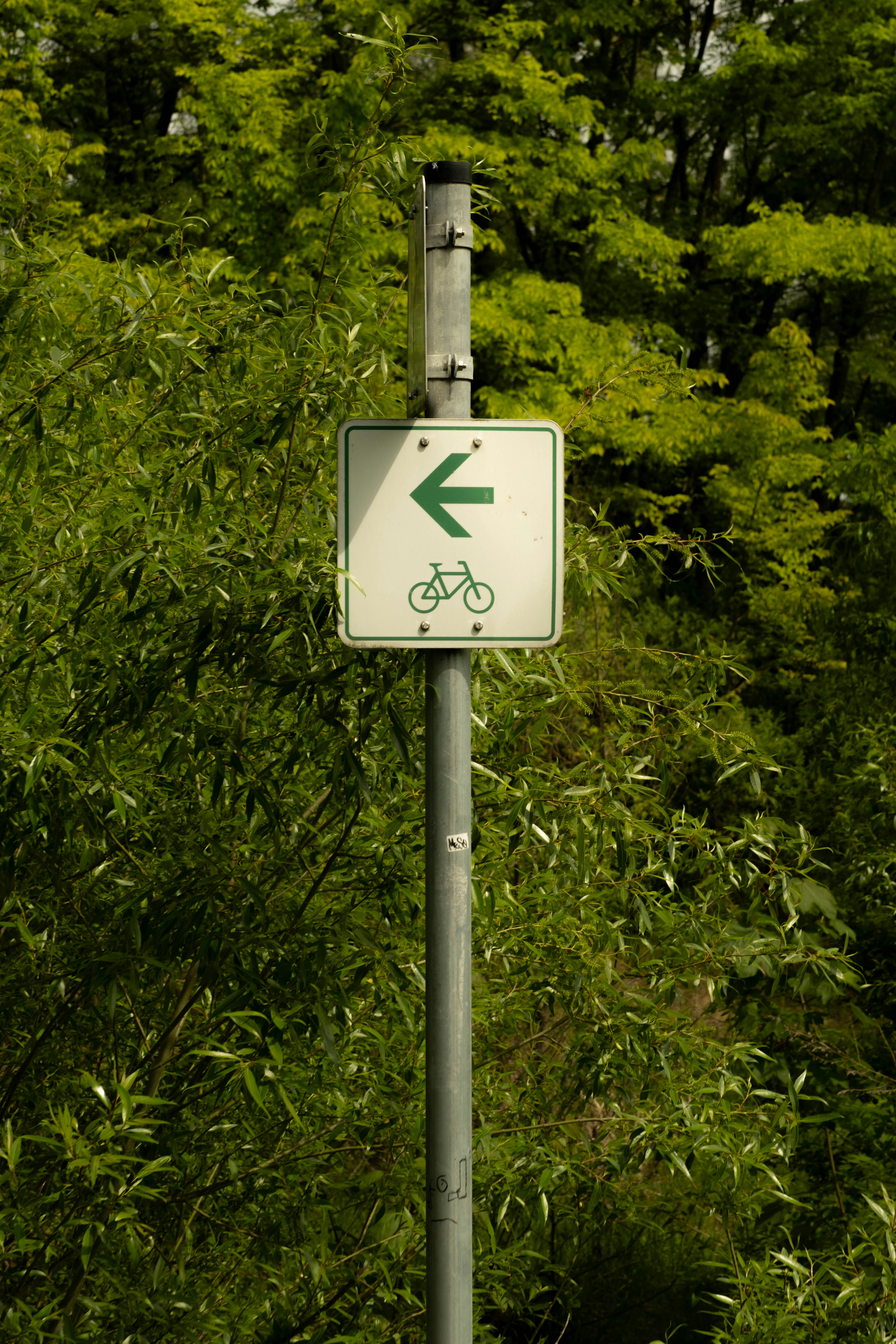 Leftward Path: A Bicycle Sign Framed by Greenery on a Steel Post