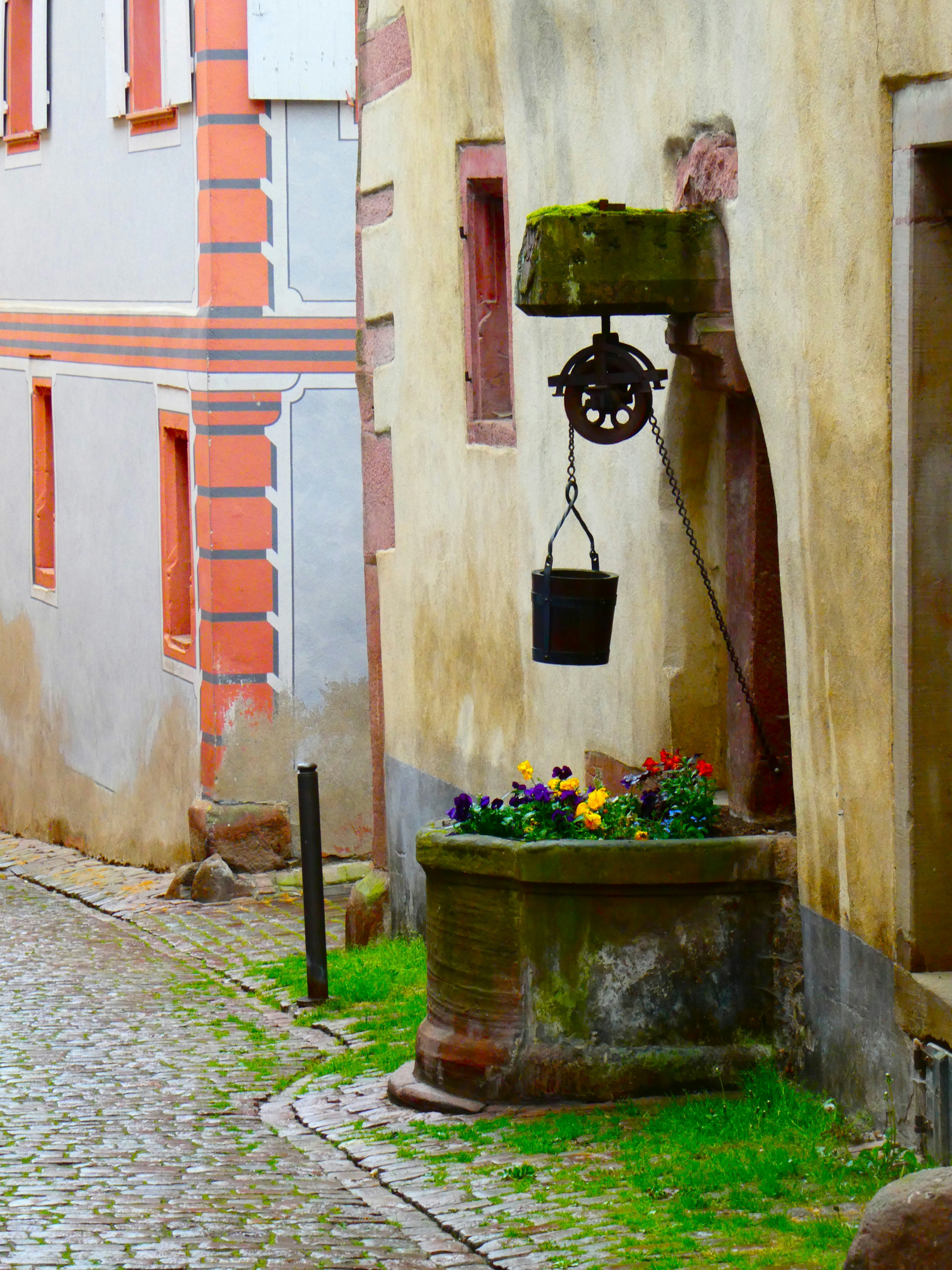 A Quiet Courtyard Well: Floral Glow by the Ancient Well
