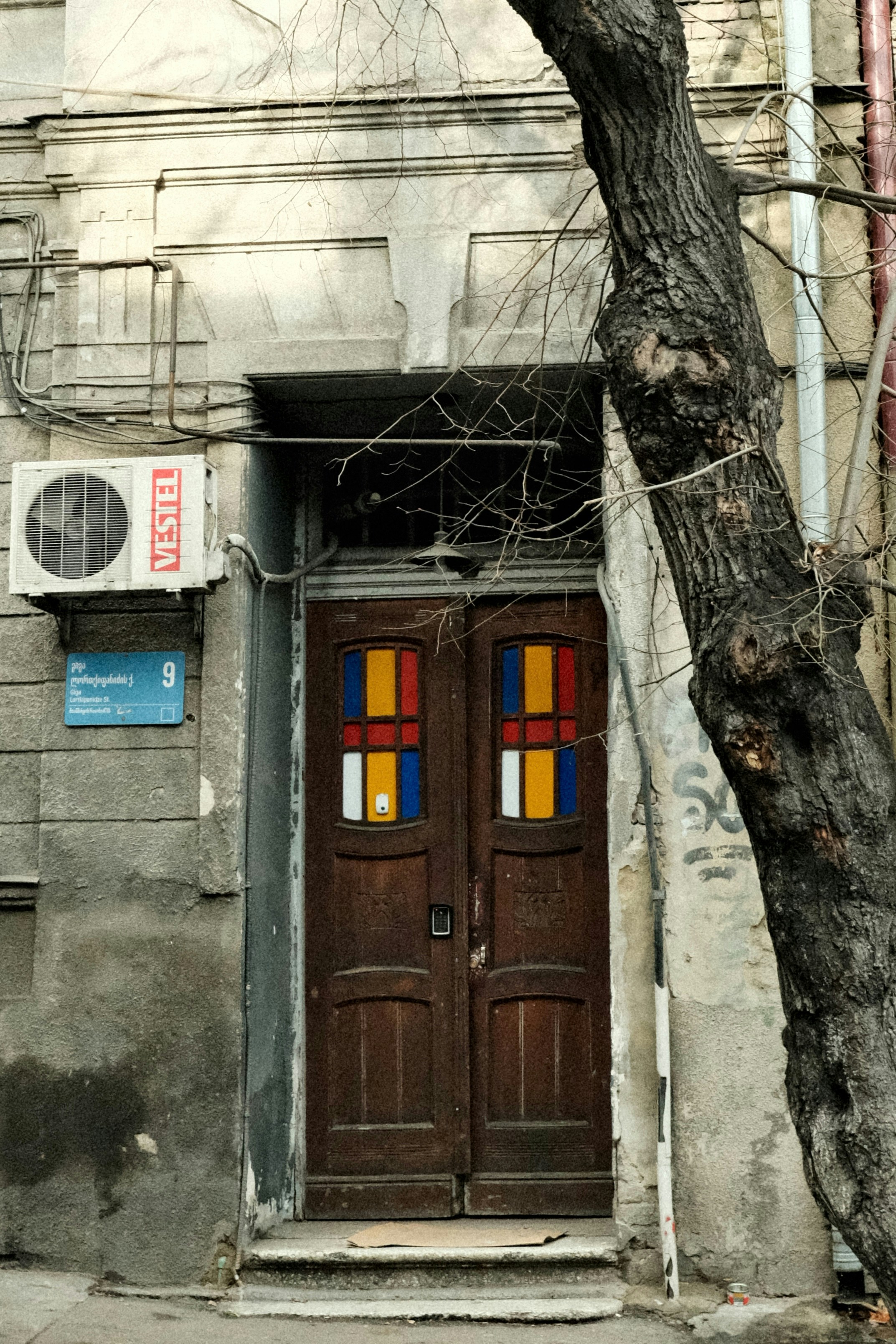 Doorway in Shadowed Old Quarry: A Stubborn Tree Framing the Street