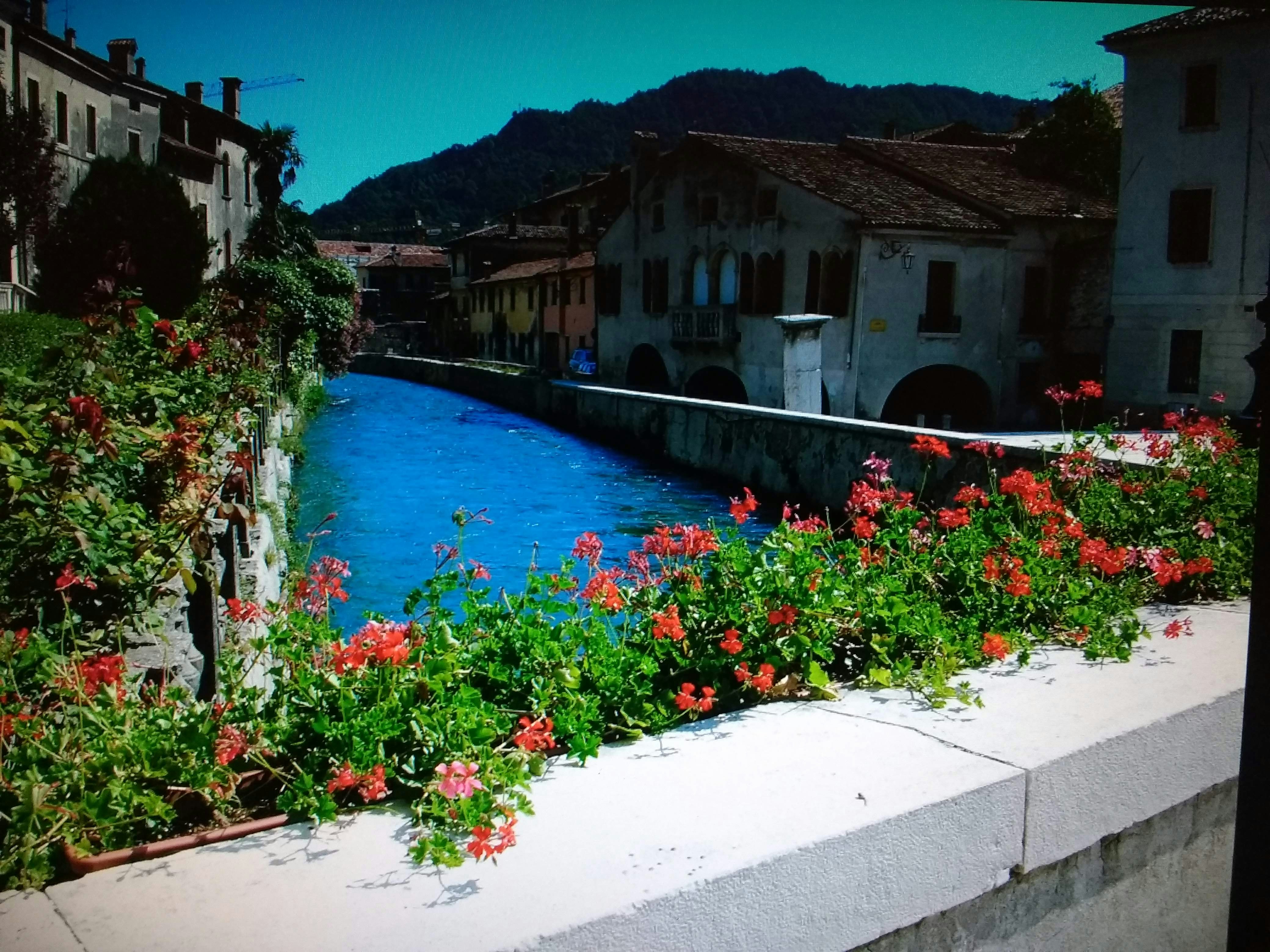 Vibrant canalside bloom and sunlit village