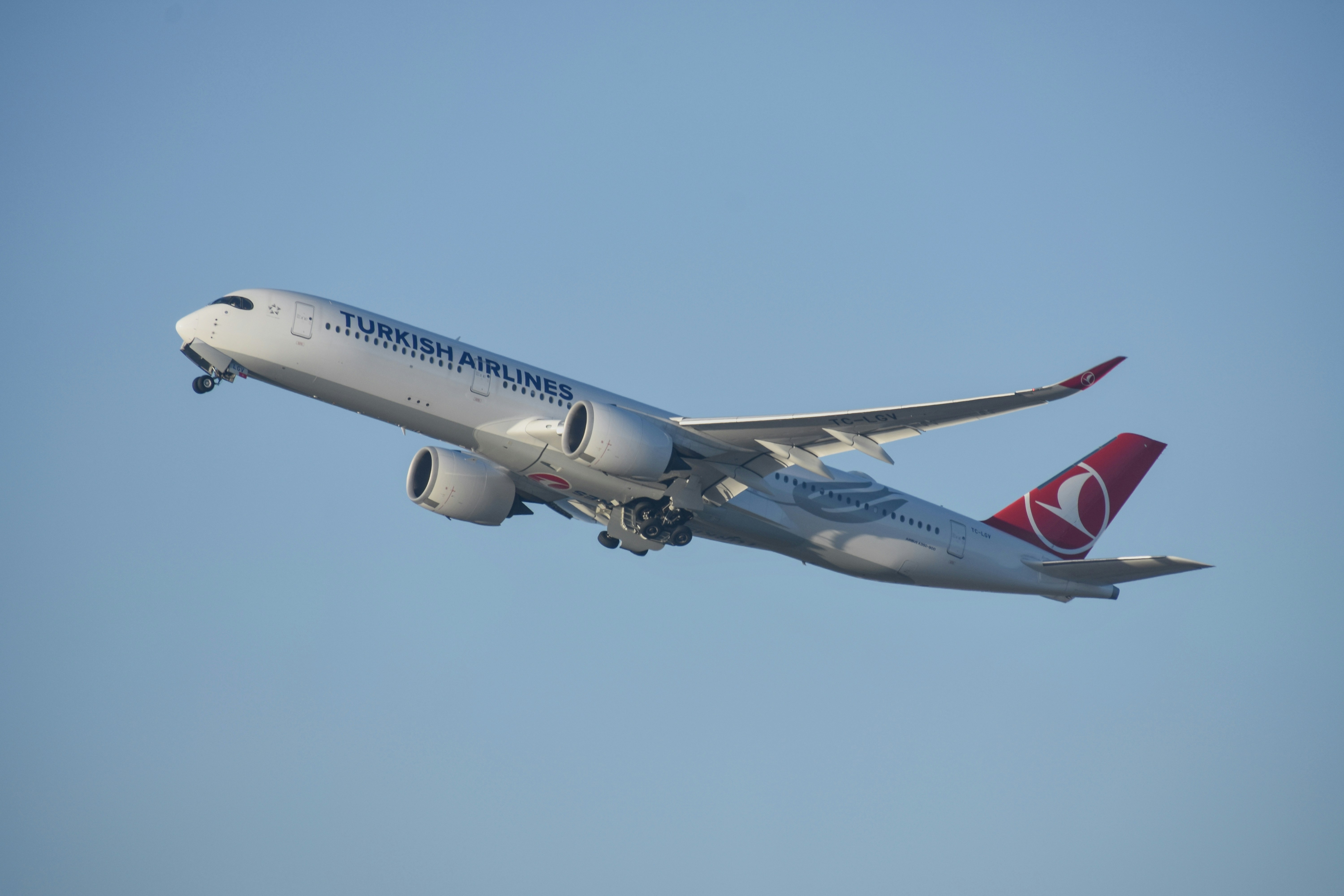 Ascending Turkish Airlines A350 in clear blue sky