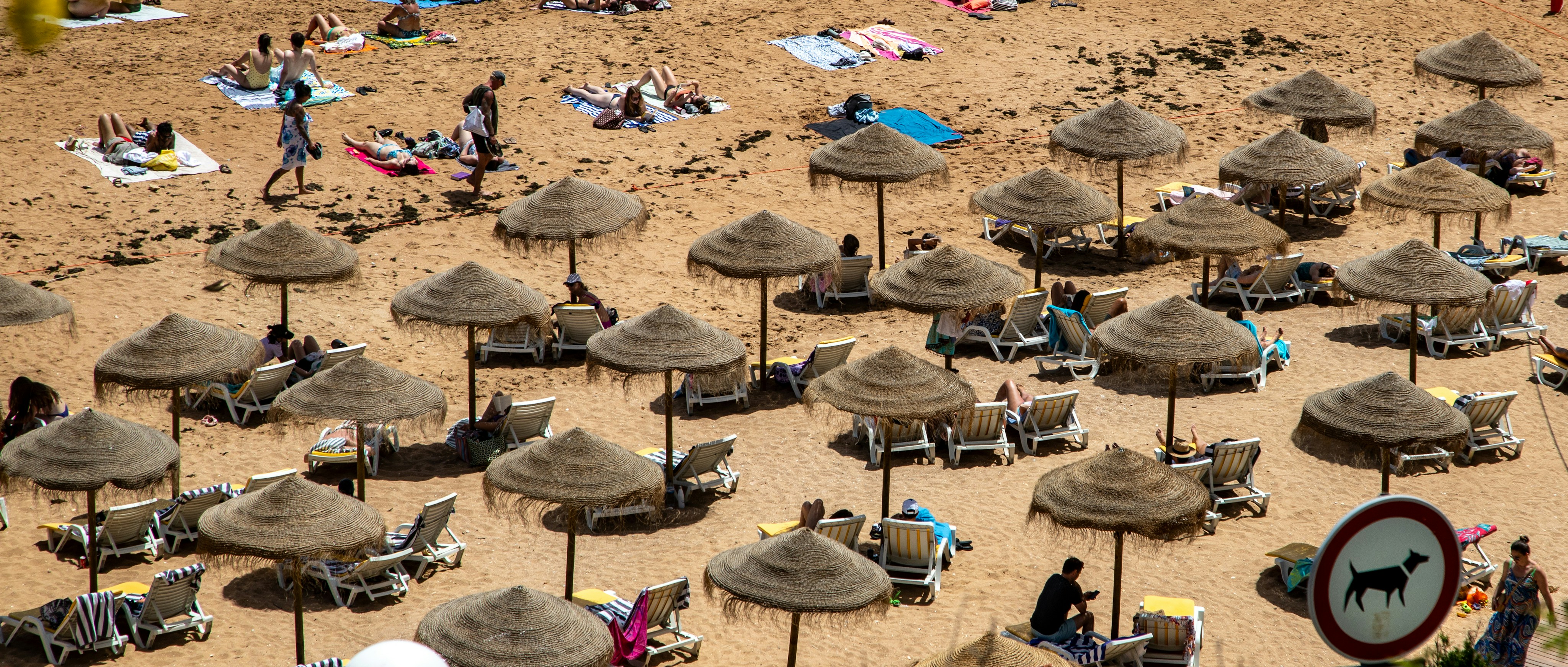 Sunlit Beach Grid: A Sea of Umbrellas and Loungers