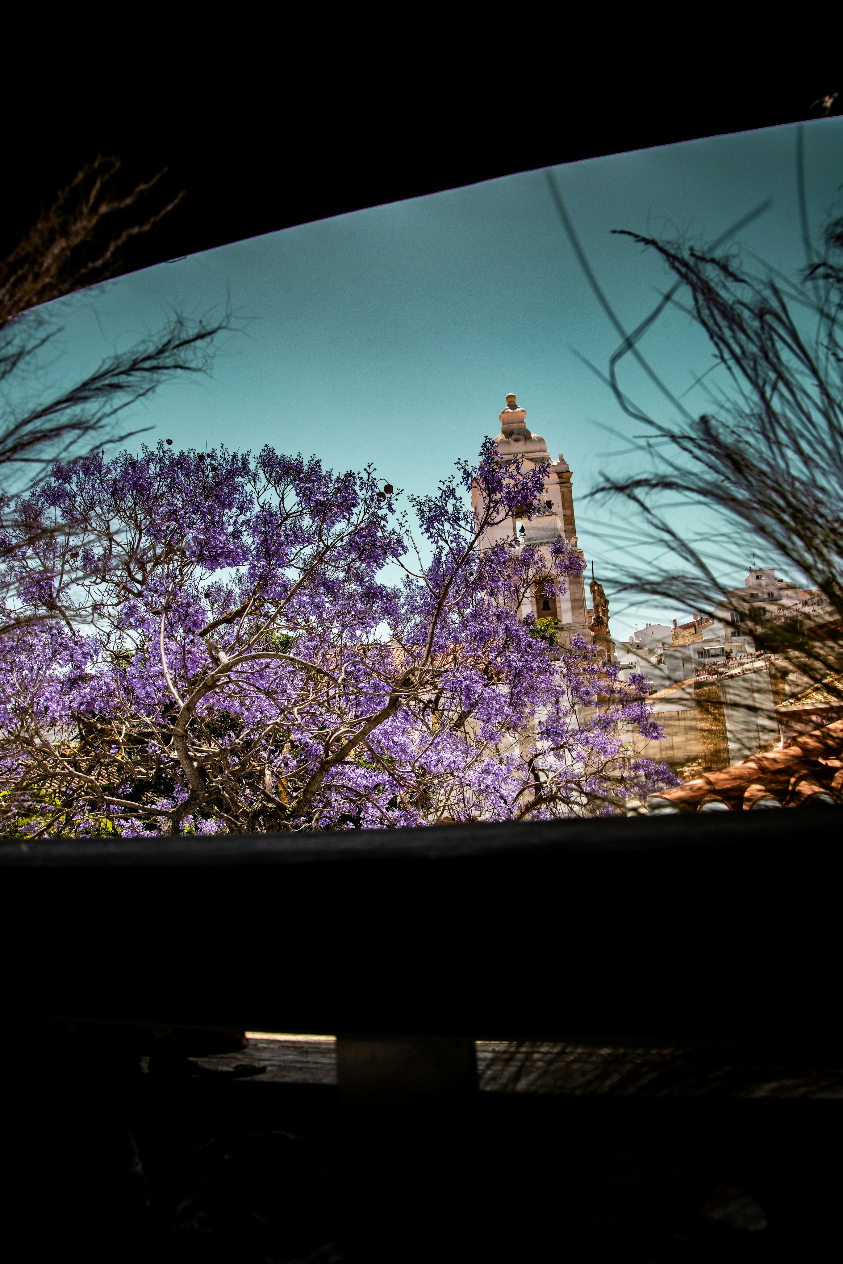 Purple blossoms against a distant tower framed by a curved dark window