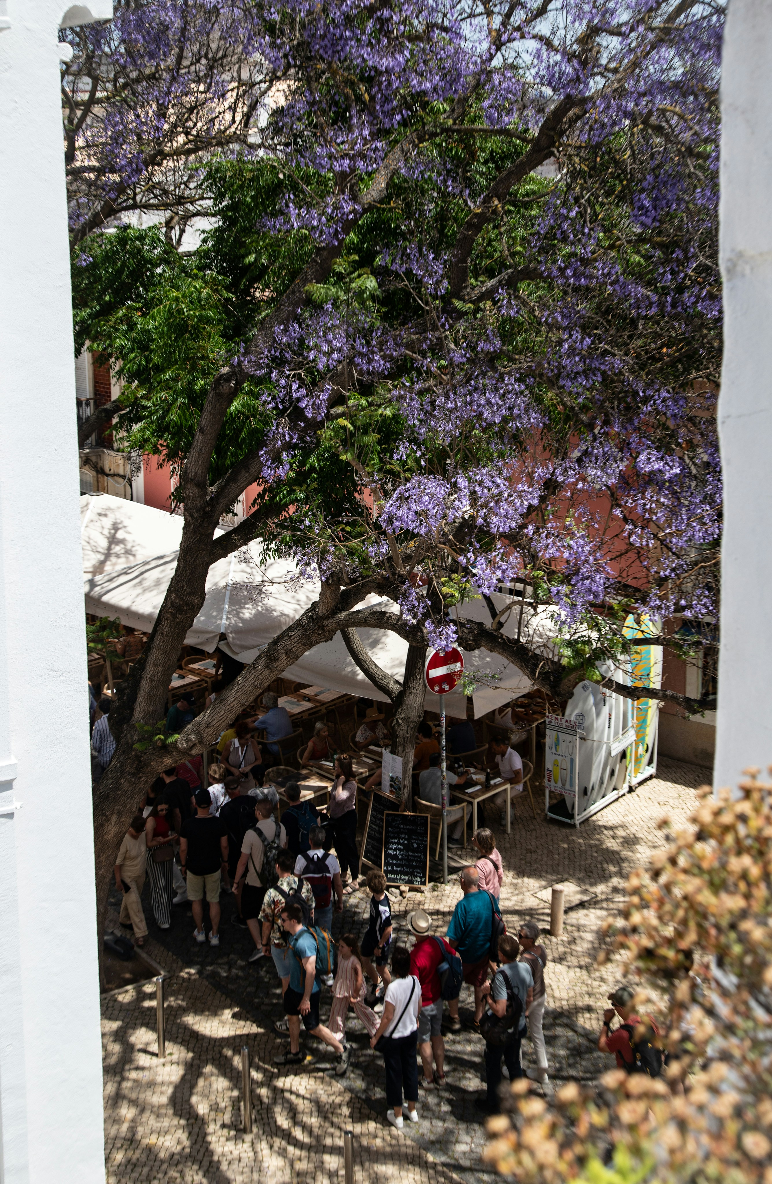 Lilac Canopy Over the Market: A Shaded Gather under Blossoms