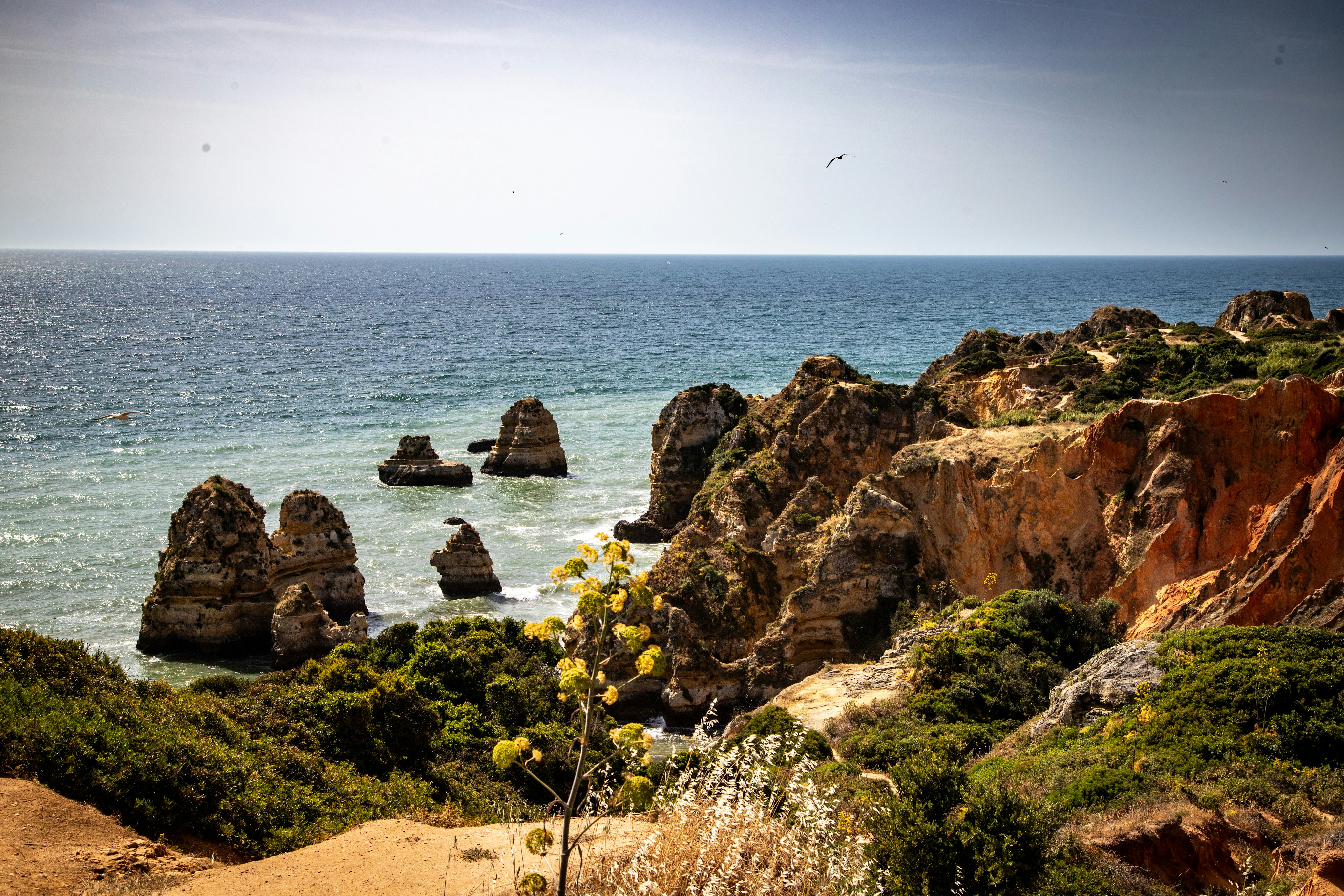 Coastal Cliffscape Serenade