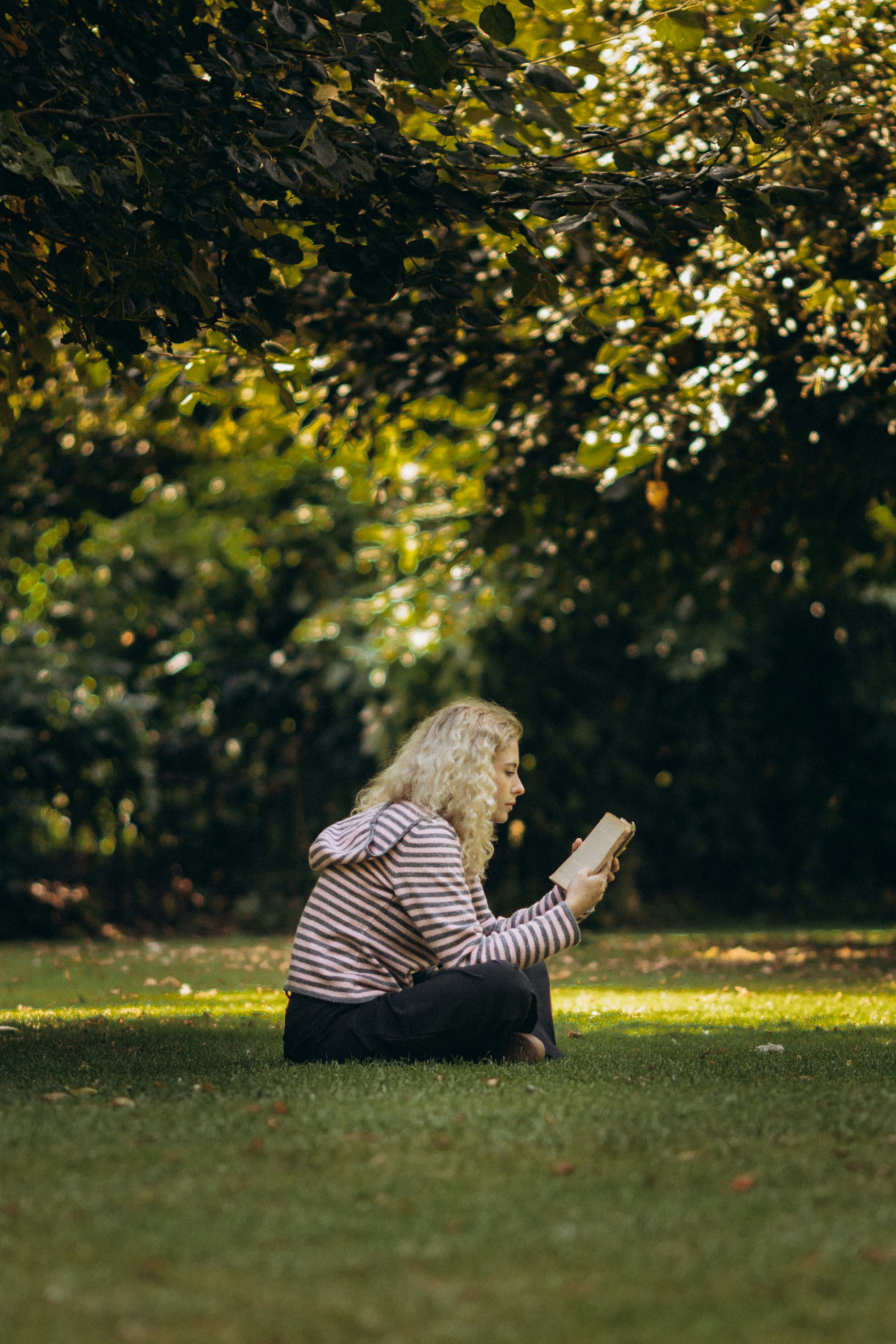 Quiet Reader in a Golden Orchard