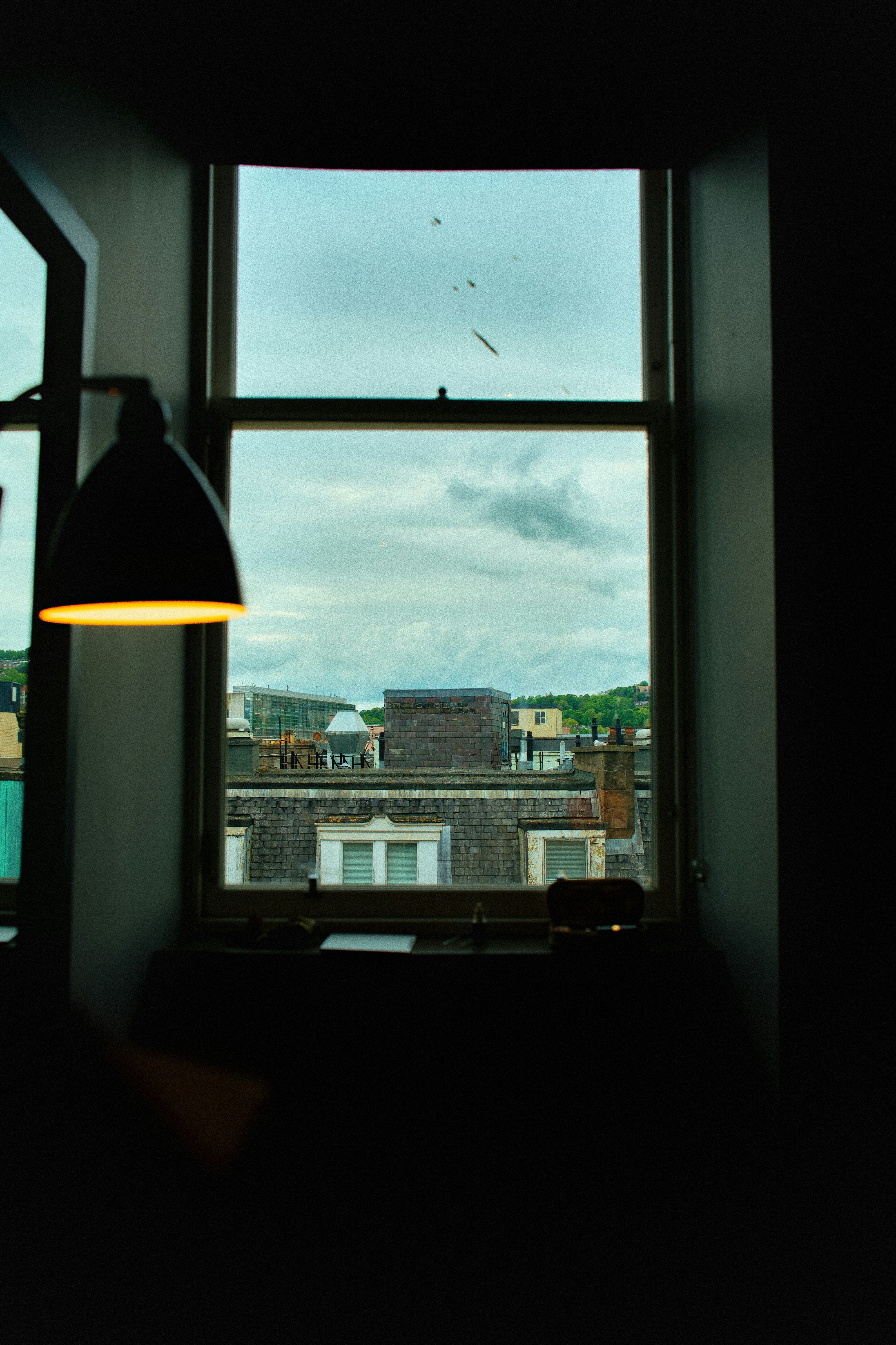 View through a dimly lit window: urban rooftops beneath a pale sky
