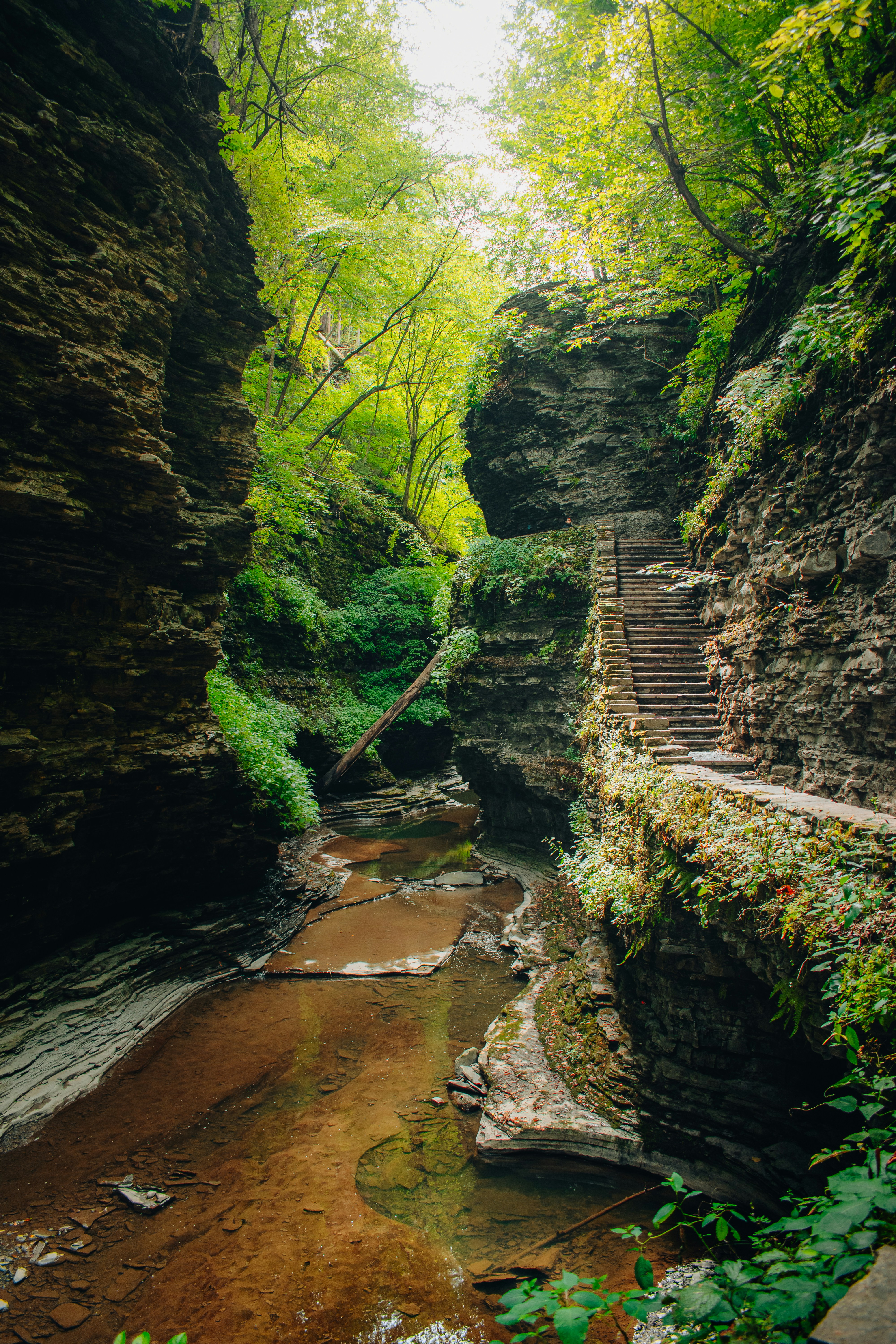 Stone Staircase Through a Lush Gorge