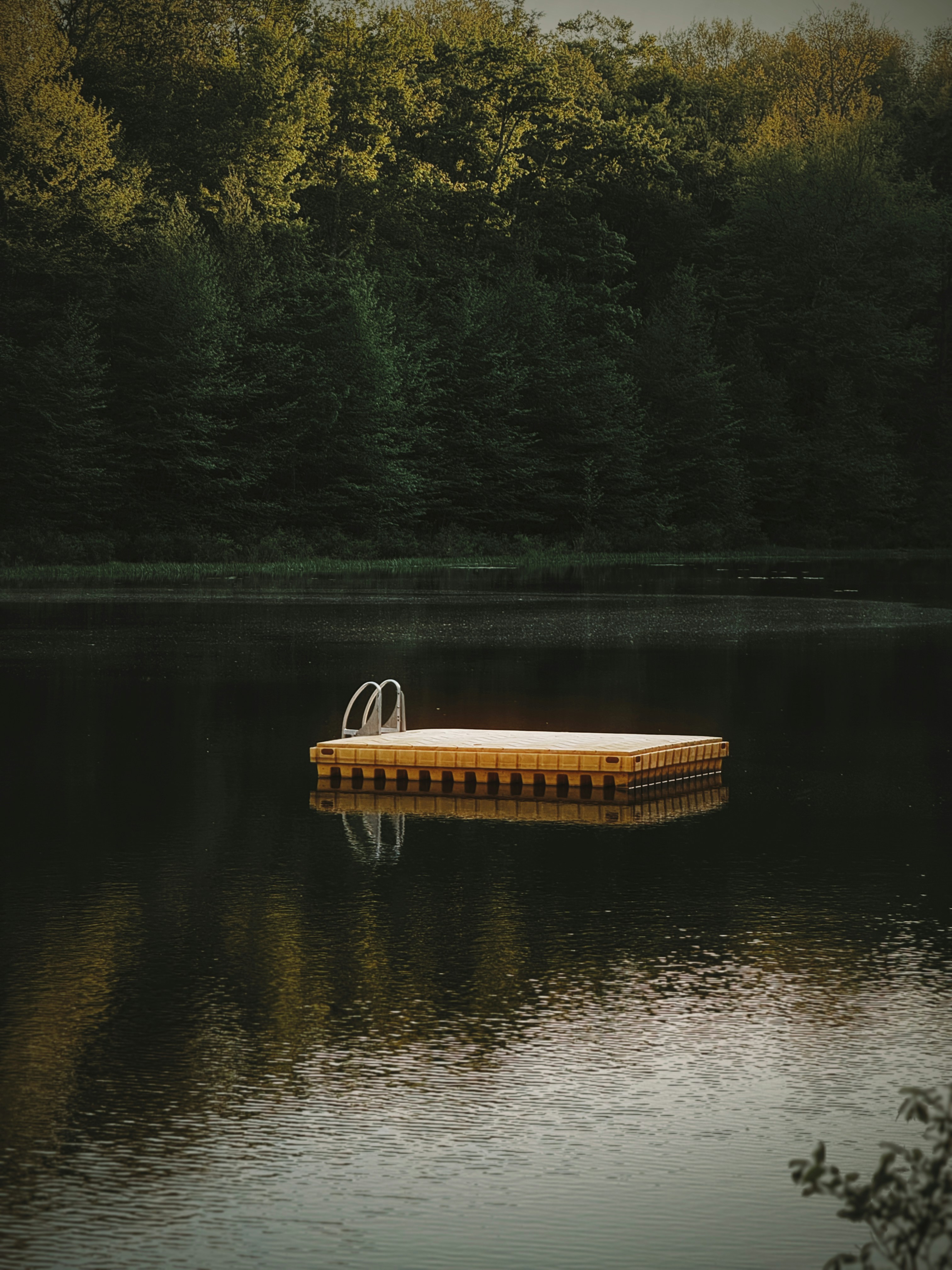 Floating Golden Dock in a Quiet Forest Lake