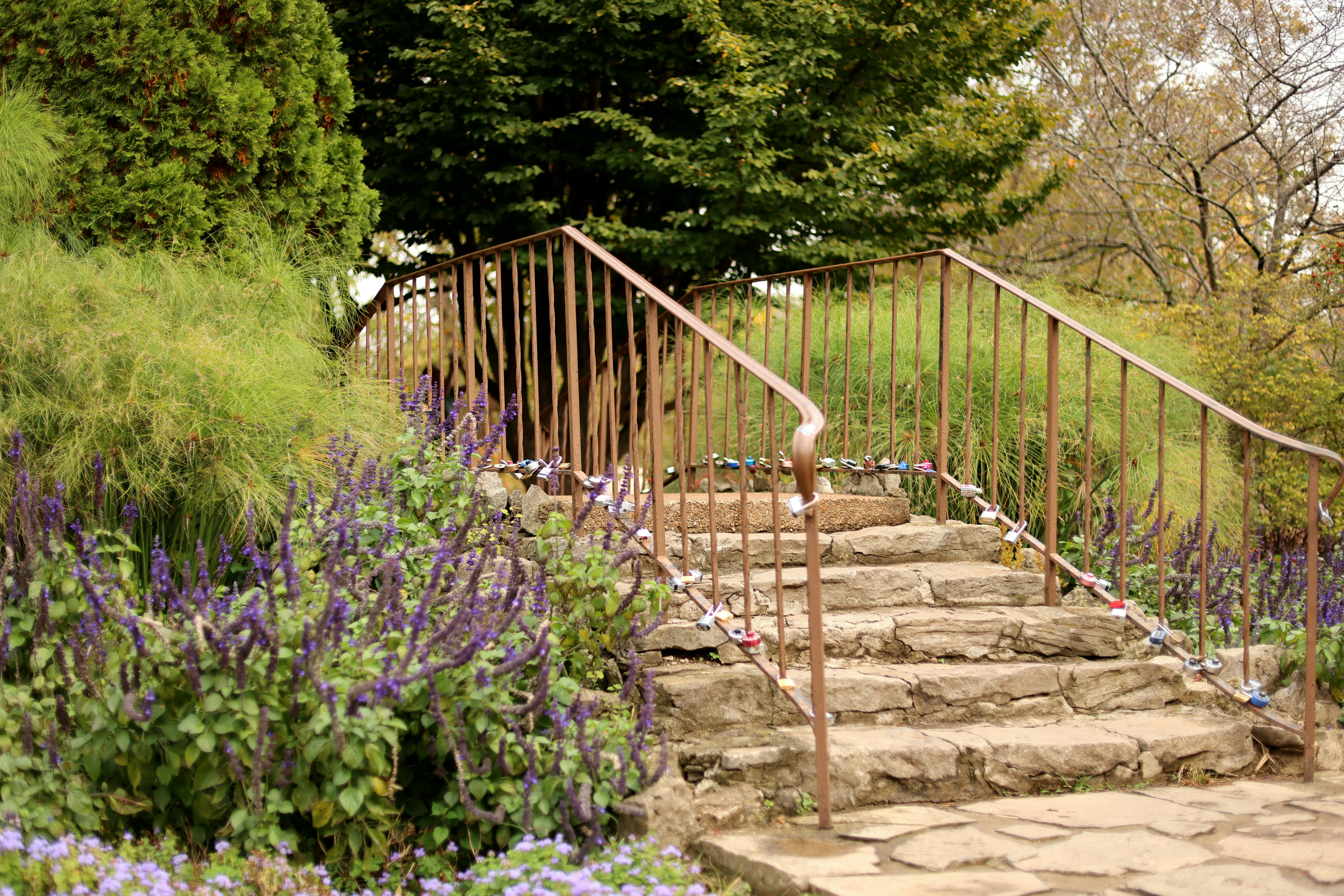 Weathered Stone Steps Framed by Lavender and Rusted Railings