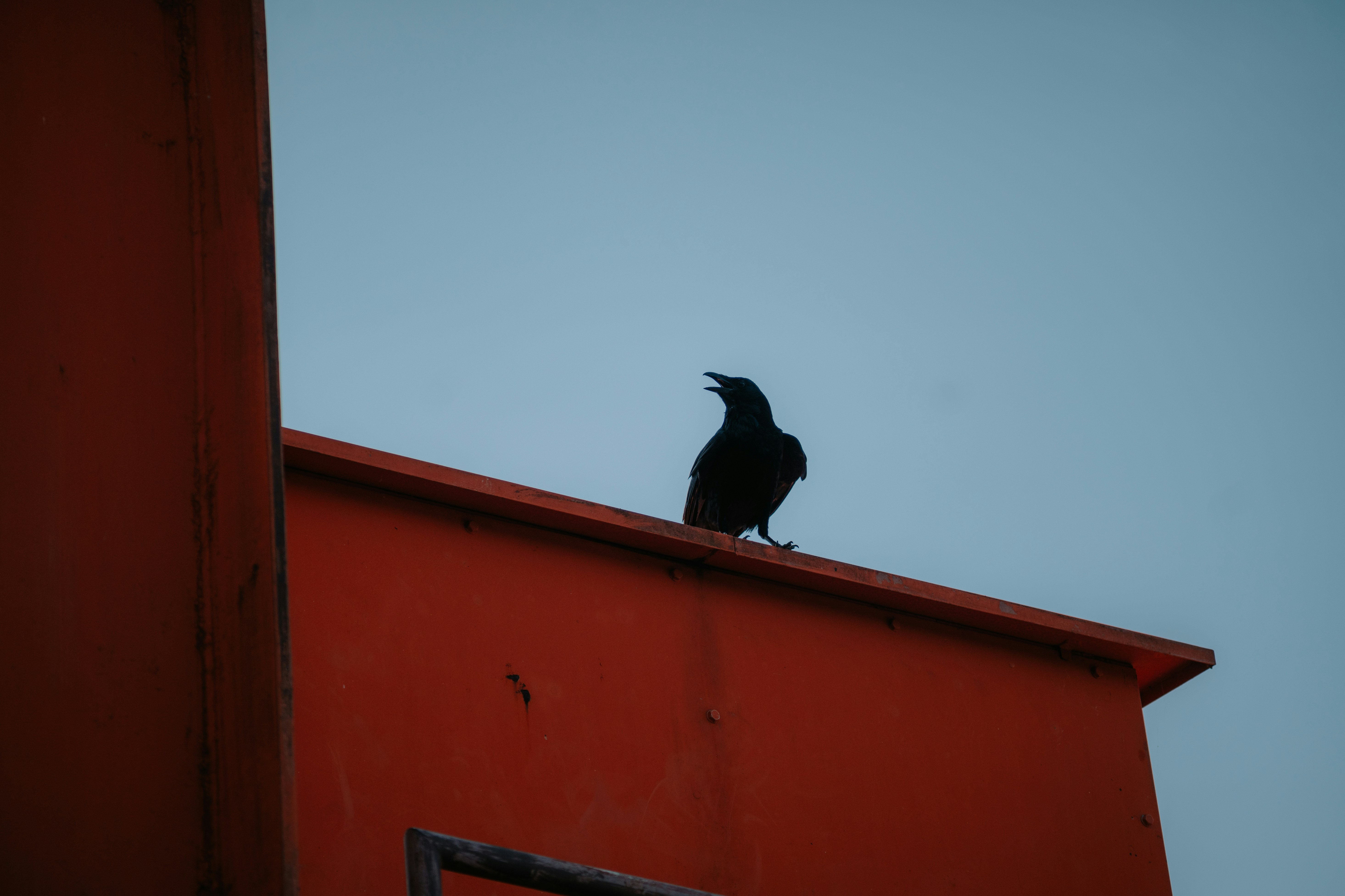 Raven on a Red Roof Under a Quiet Sky