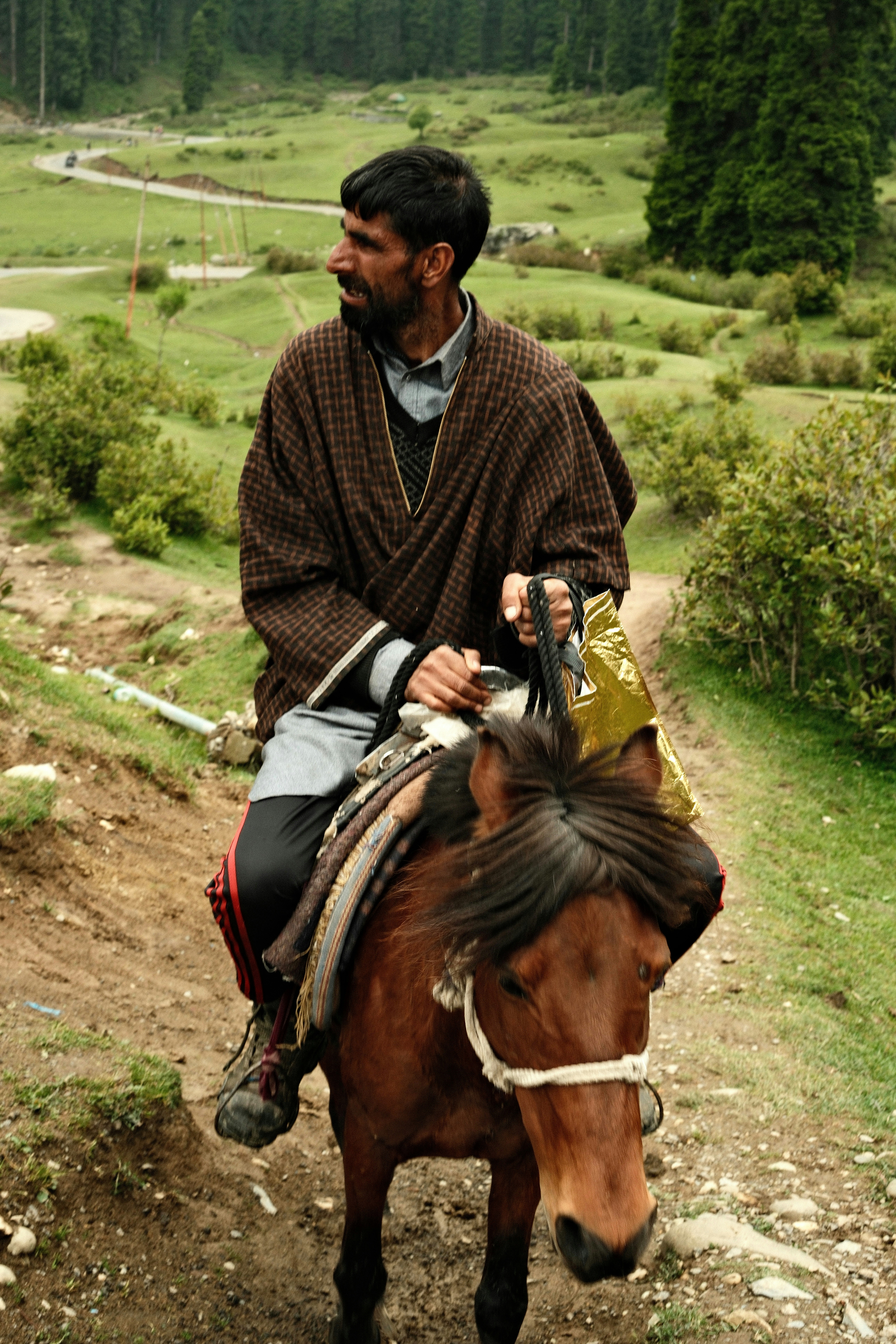 Rider Against a Serene Highland Path