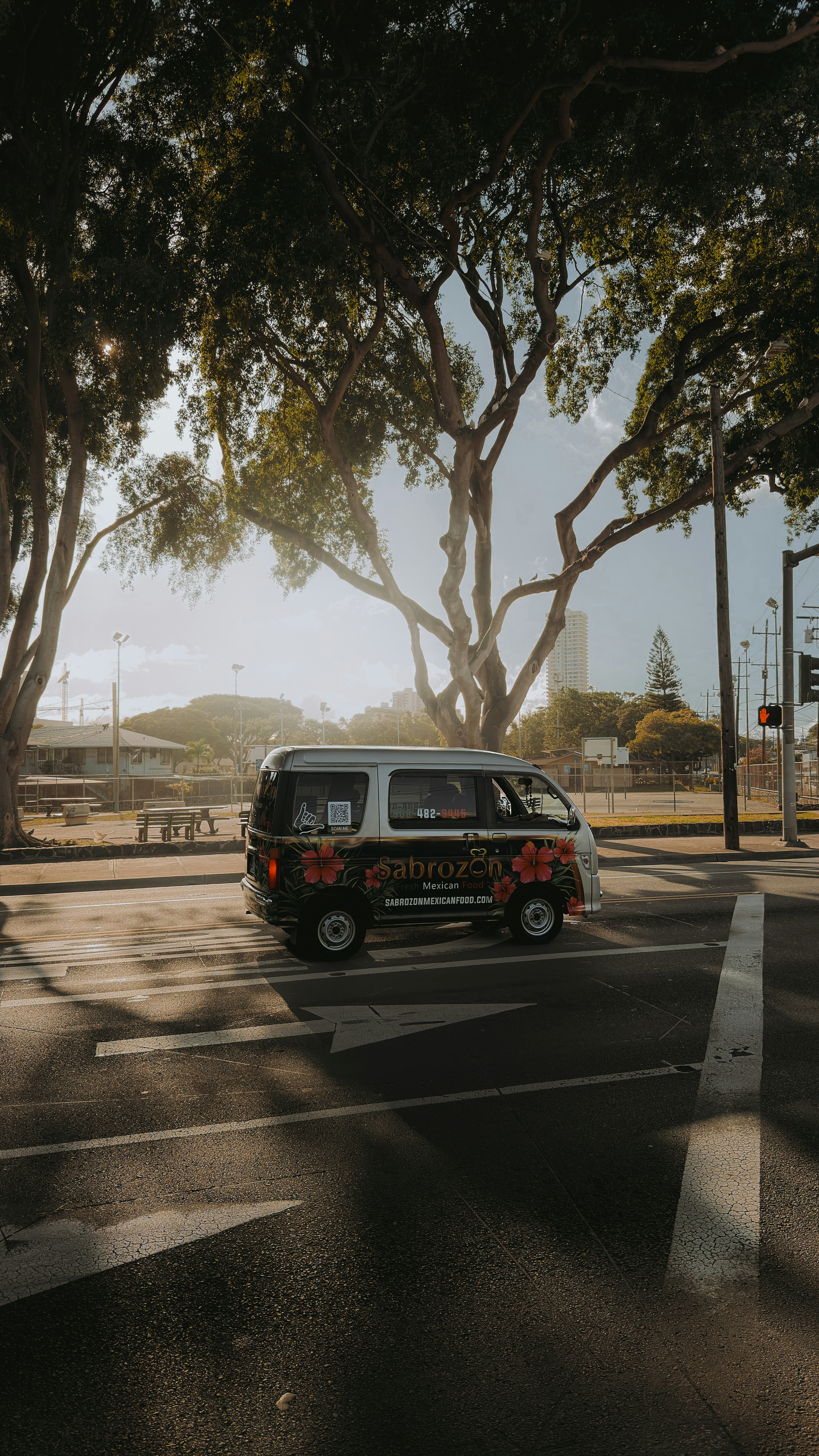 Floral van at a sunlit crosswalk under sprawling trees