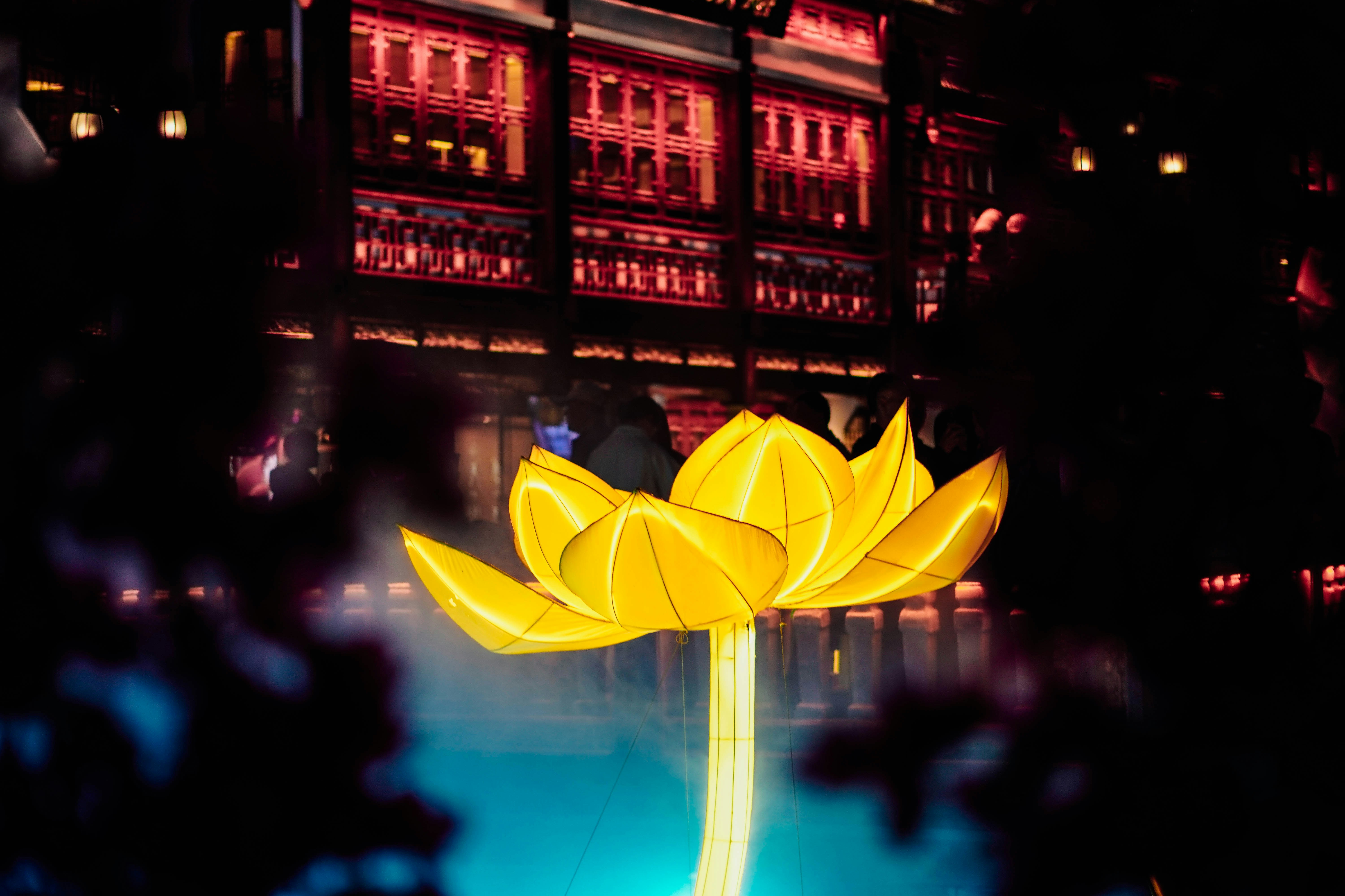 Neon Lotus in the Night: A Glowing Floral Spotlight