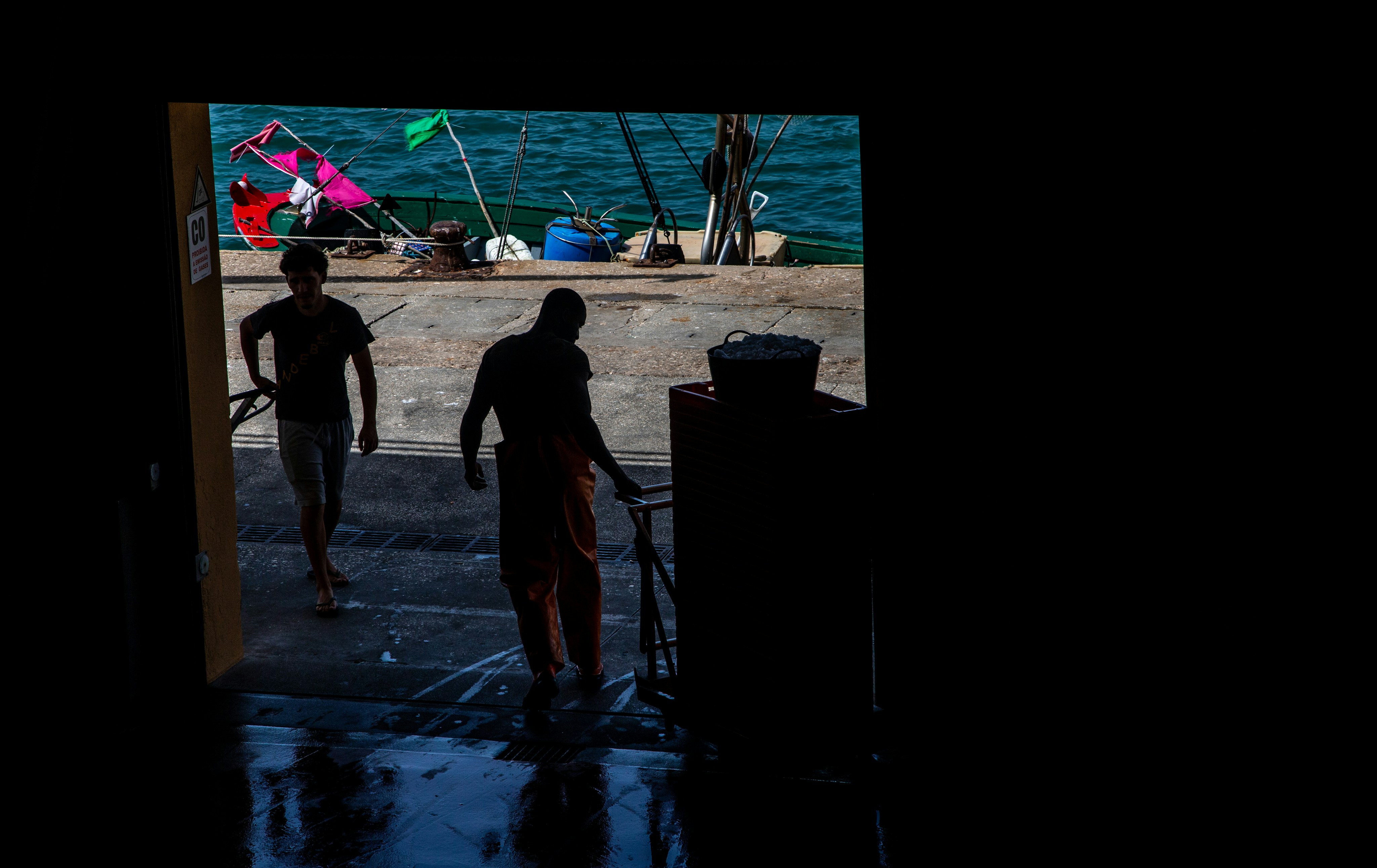 Harbor Walk Through a Dim Threshold