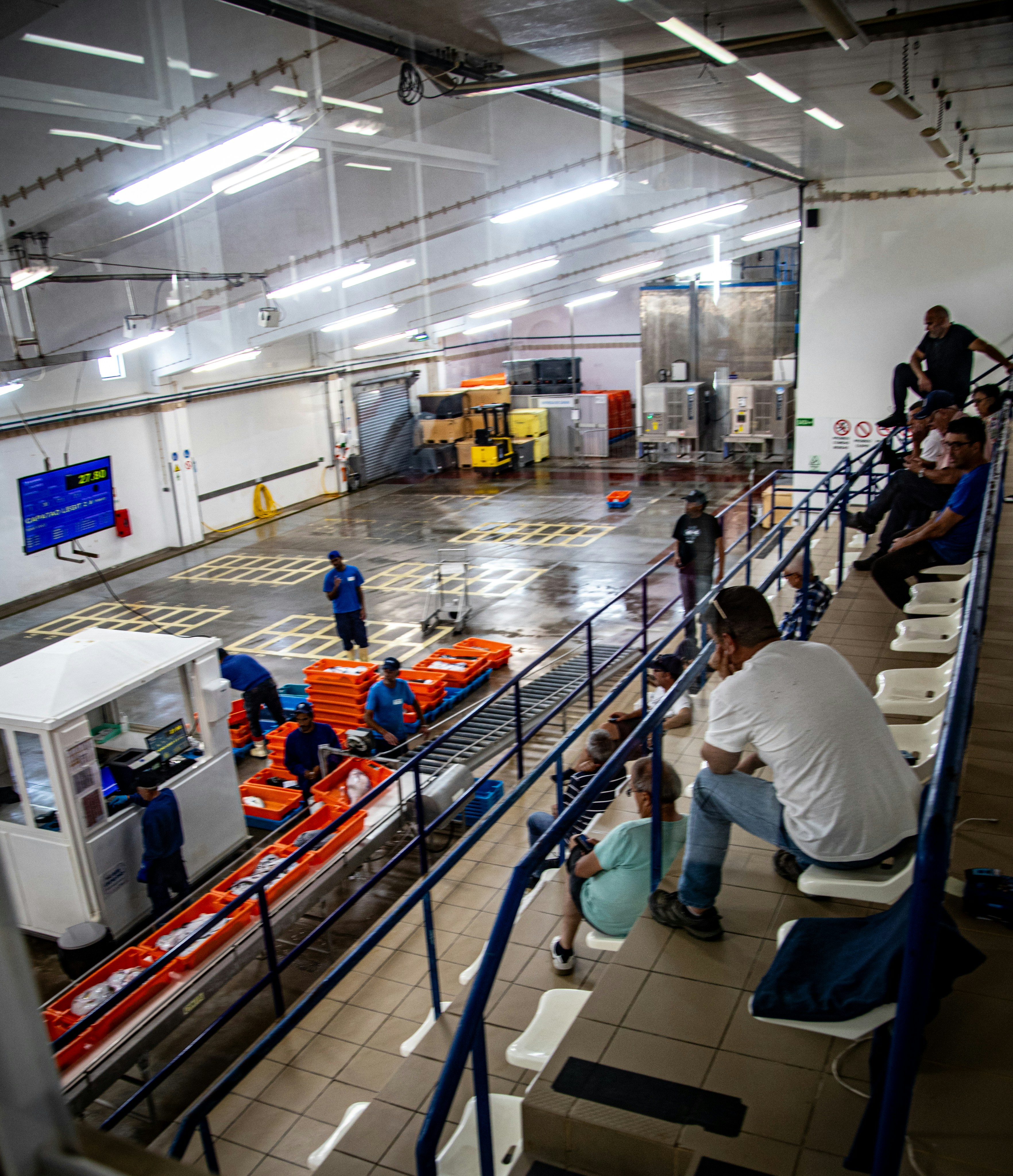 Overhead View: Workers and conveyor belts in a busy industrial facility
