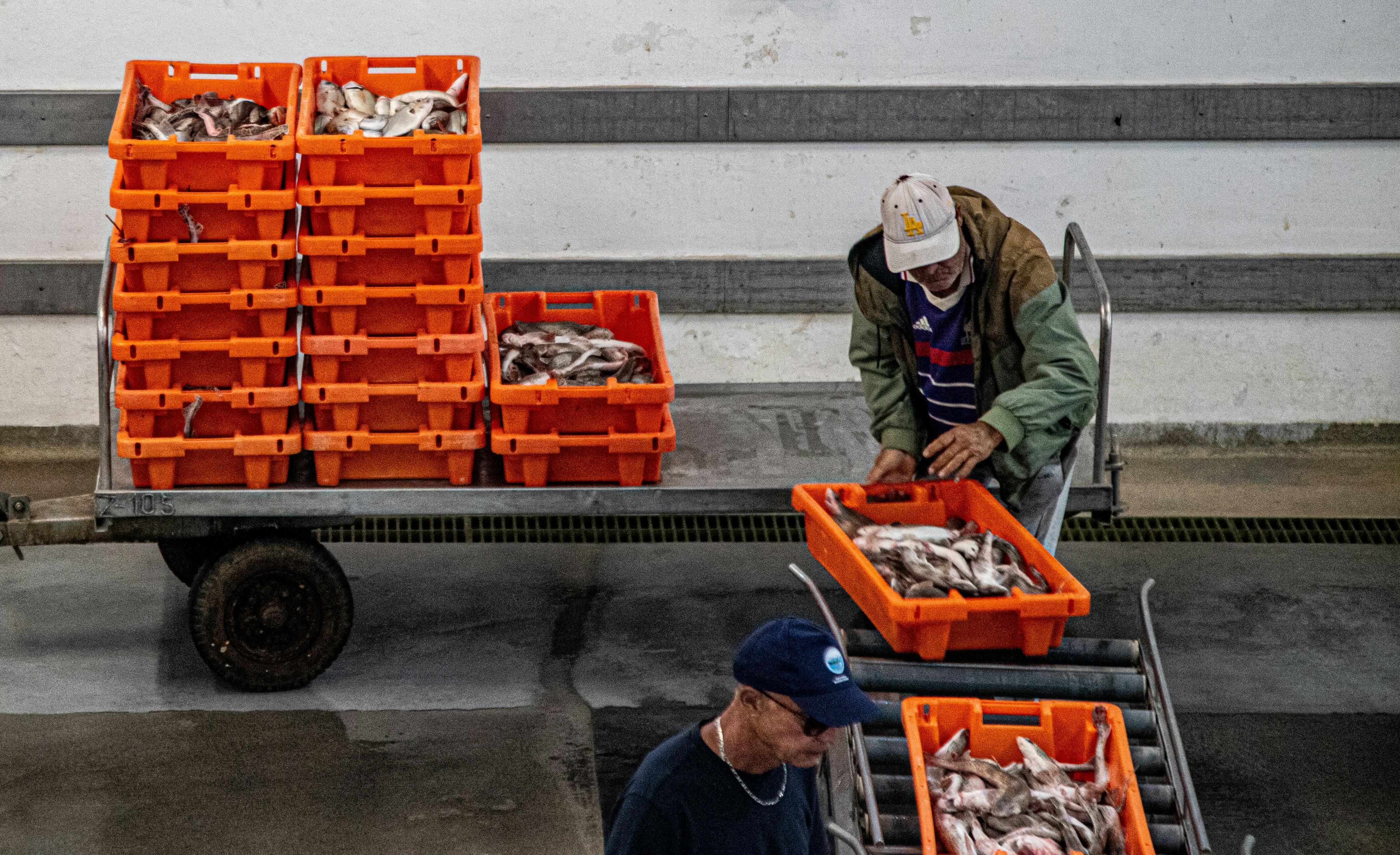 Cargo of Crabs: Workers Sorting Fresh Catch on a Riverside Cart