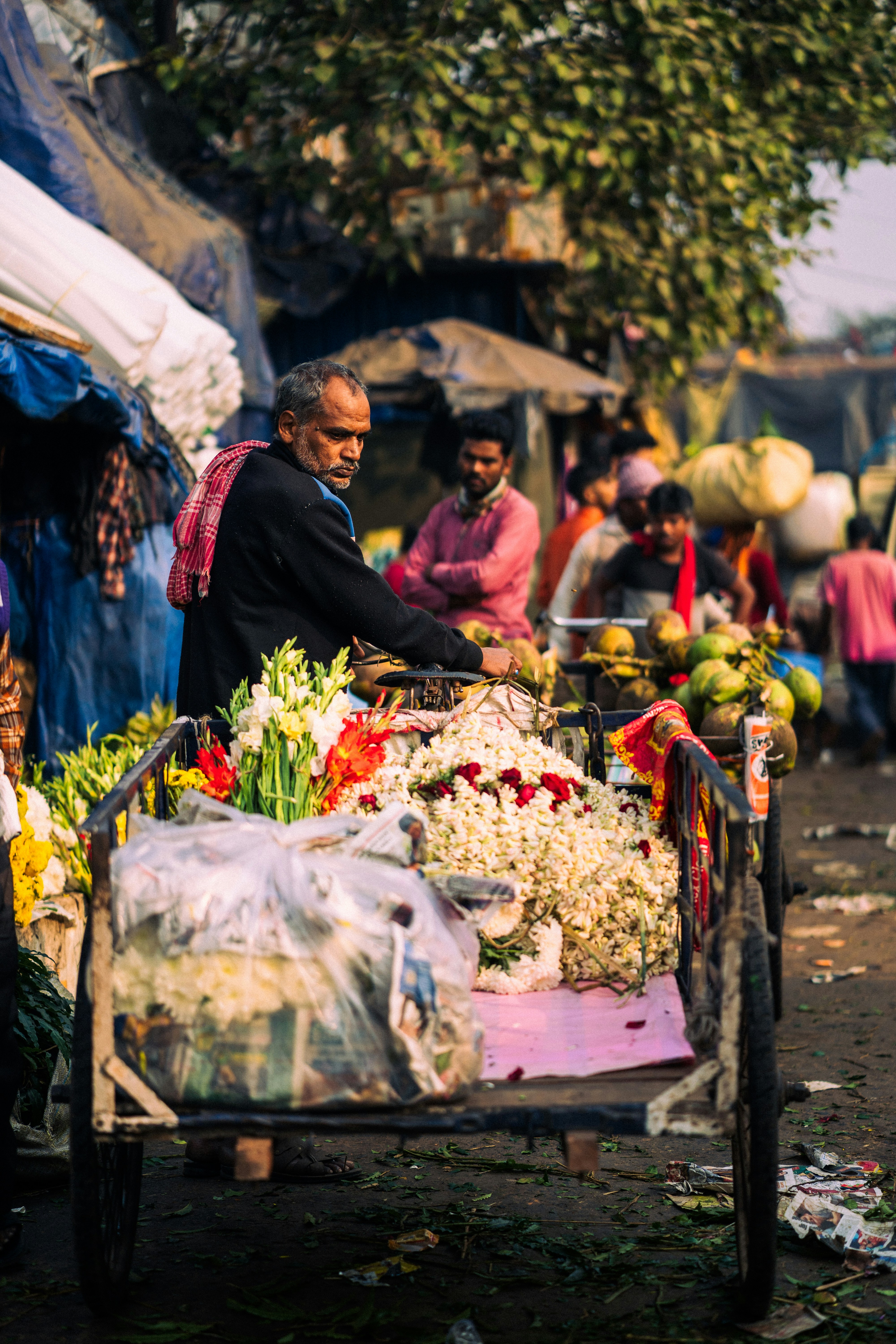 Vendor Cart of Color and Quiet Intensity