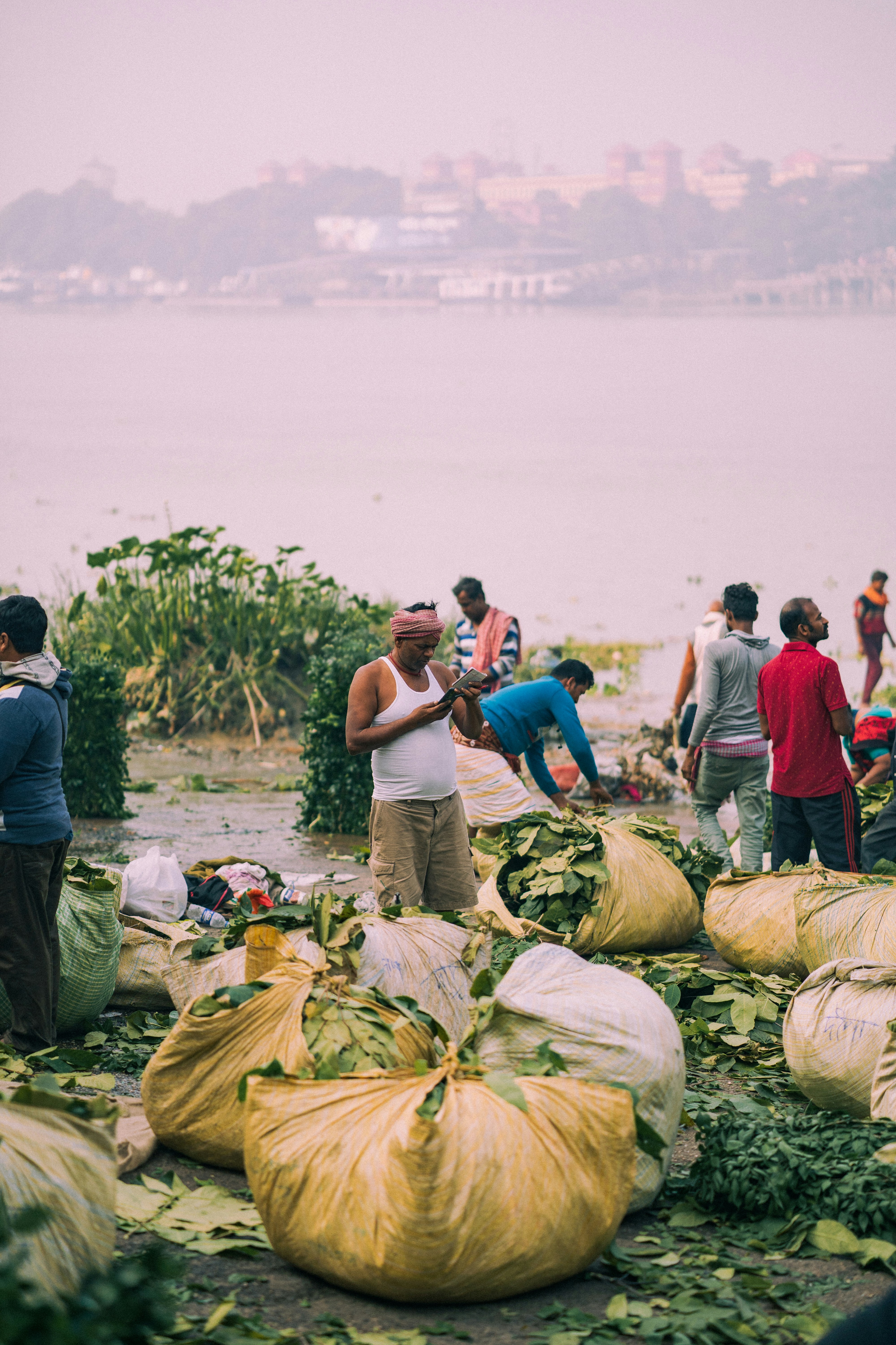 Harbor Labor: Bags of Leaves and People Along the Shore