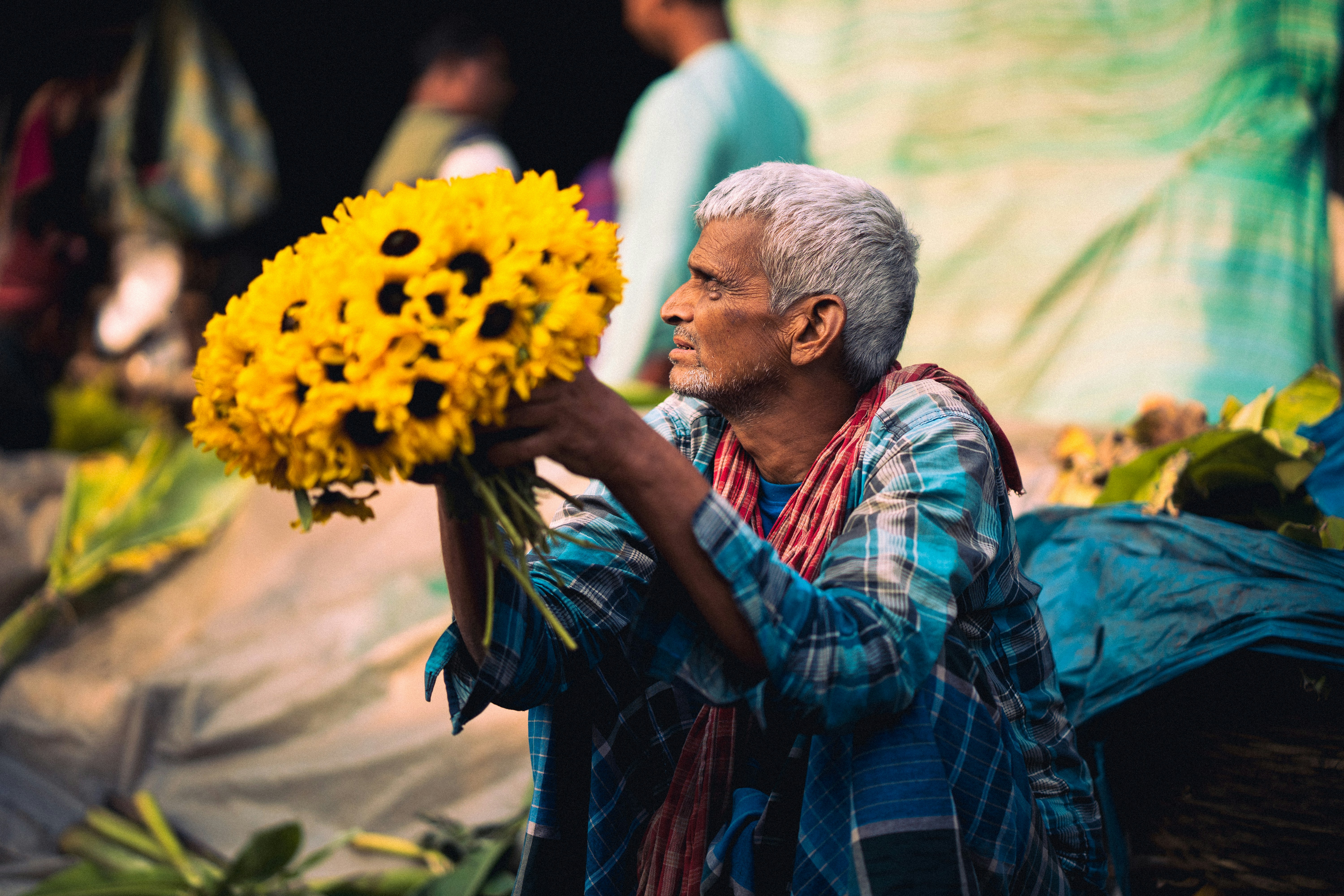 Sunlit Harvest: A Moment with the Sunflower Bouquet Handed Across the Frame
