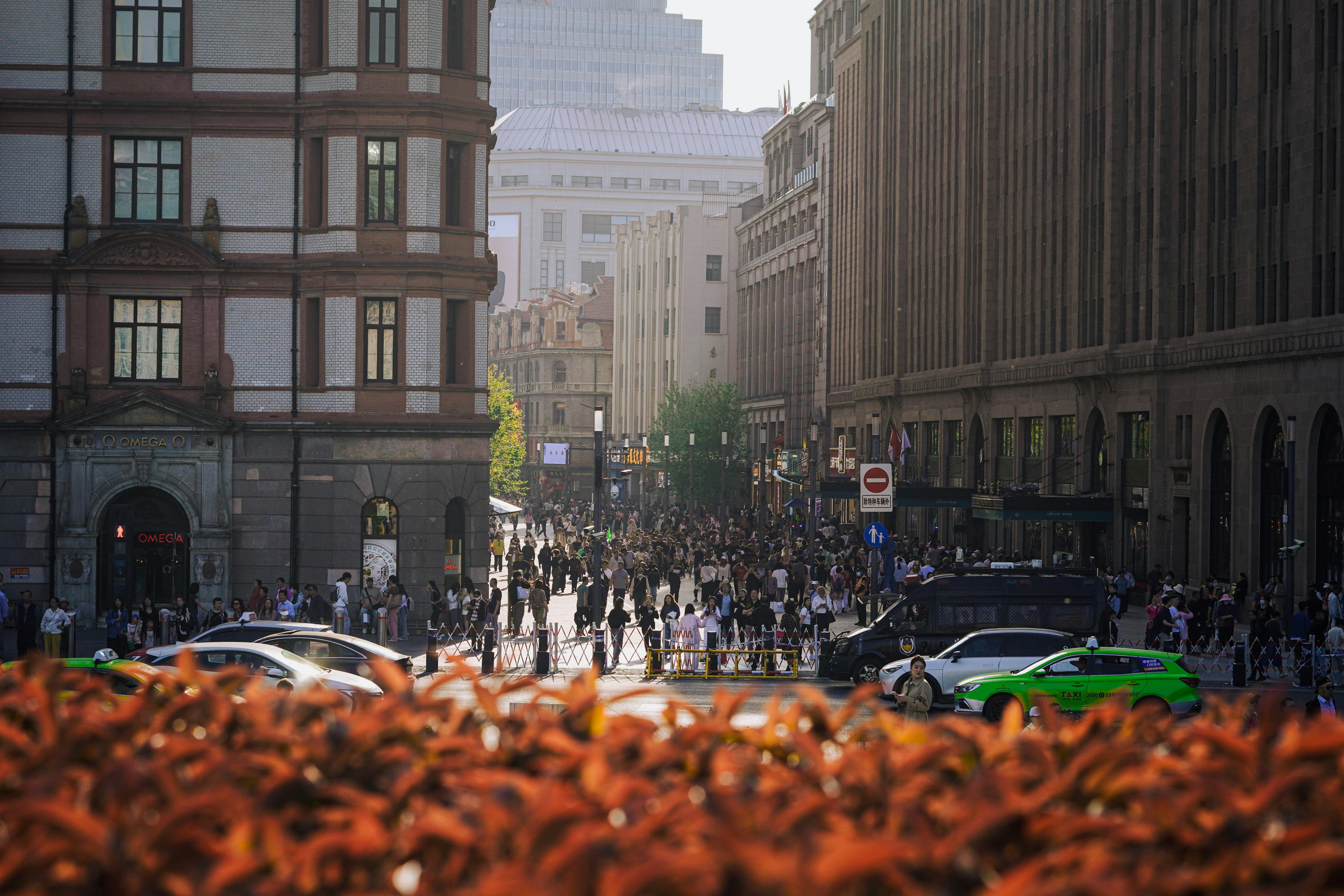 Rush of Pedestrians beneath Historic Facades