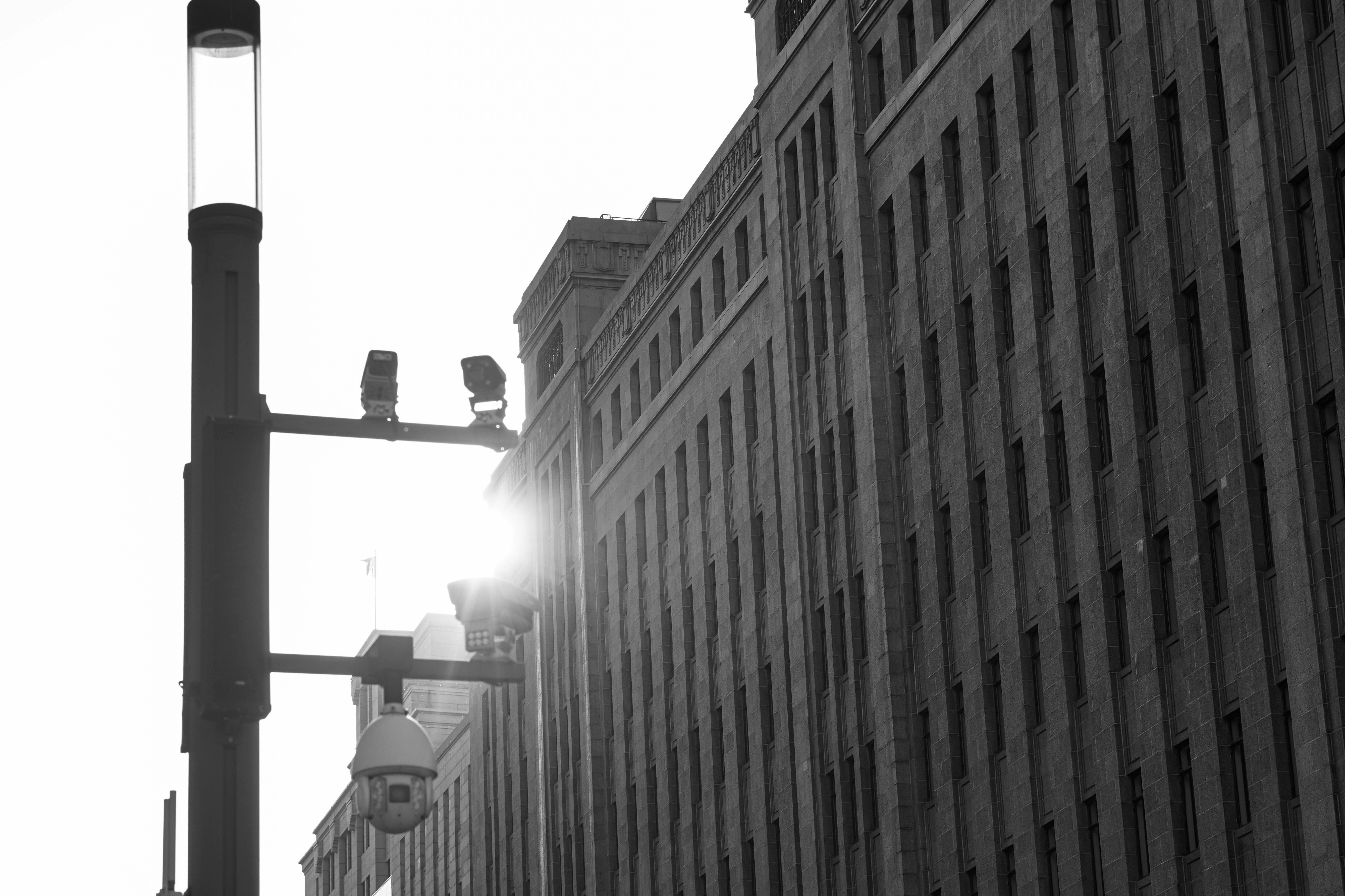 Sunlit Streetline: An Urban Facade in Monochrome