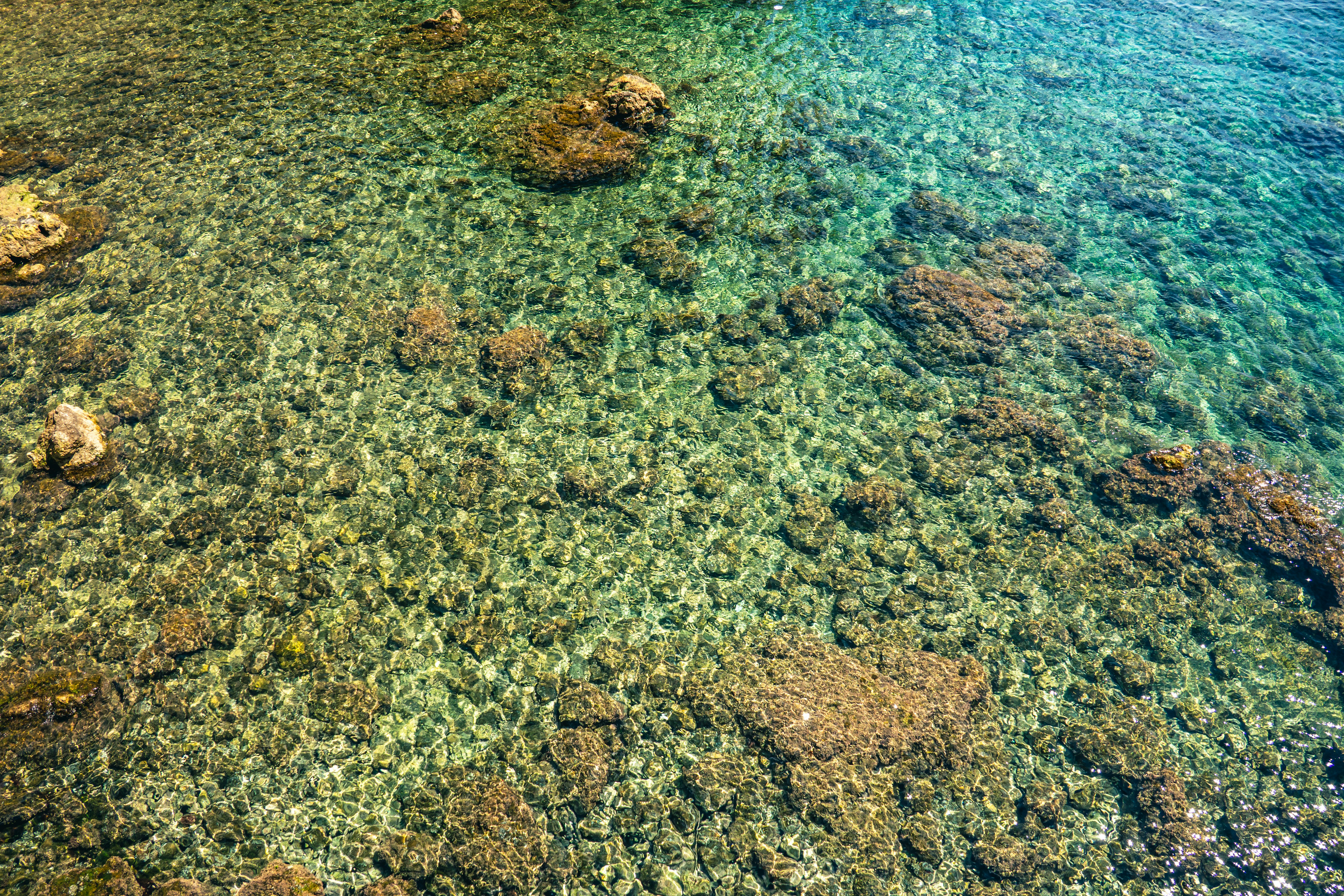 Transparent ocean water revealing rocks and marine flora. photo – Free ...