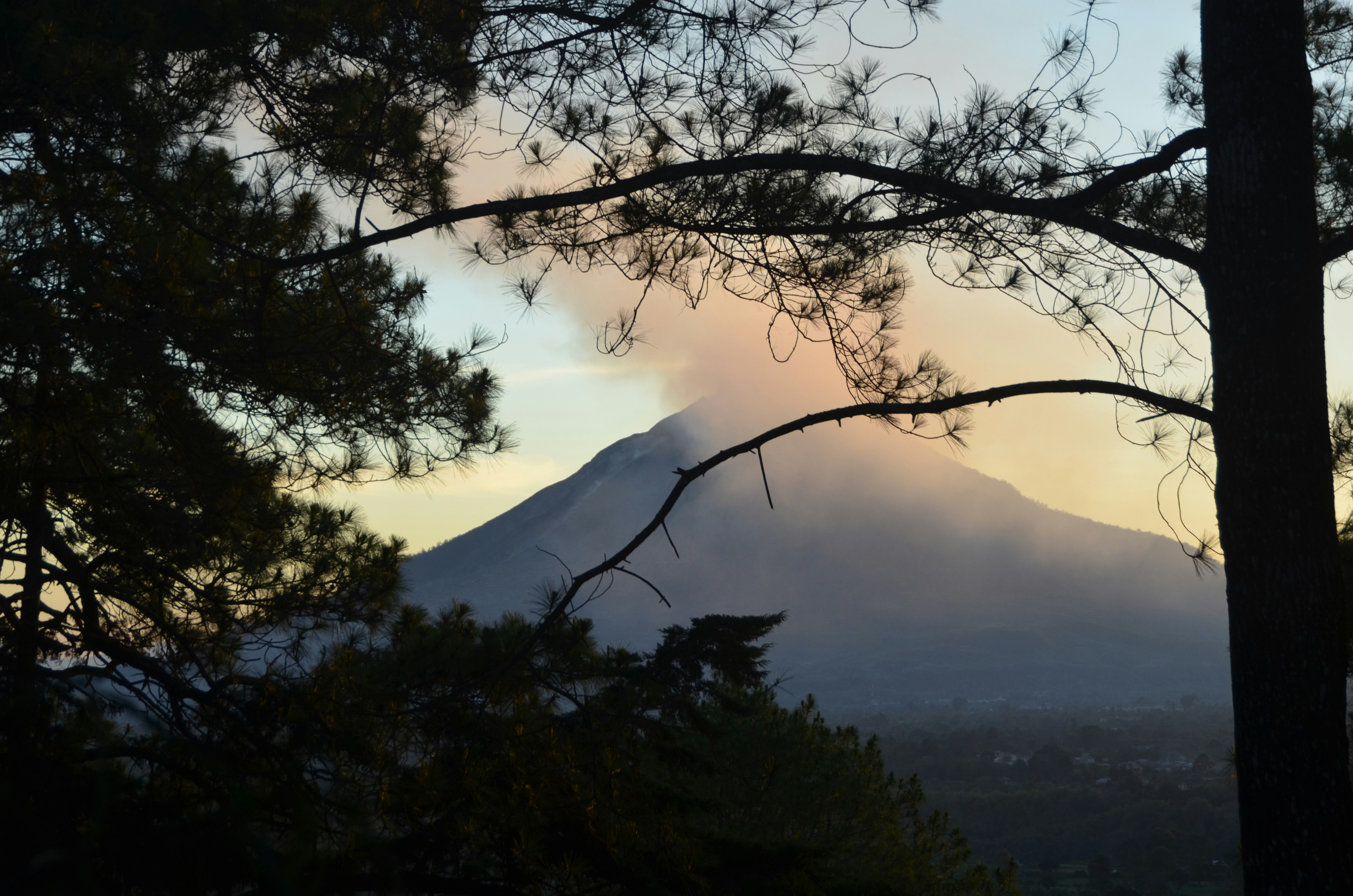 Silhouette of a Distant Peak Framed by Pine Branches at Sunset