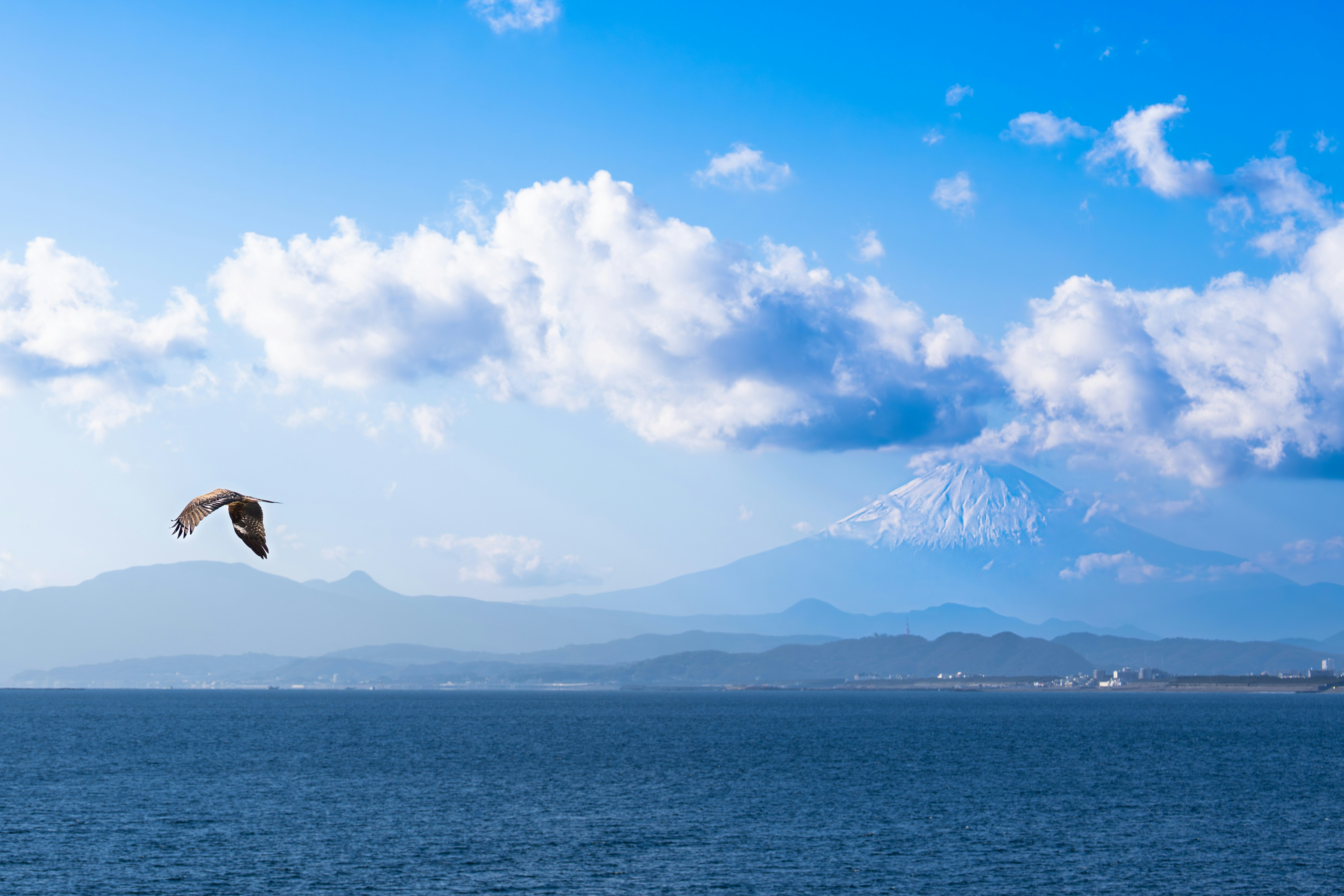 Winged silhouette over a tranquil seascape with distant volcanic peaks