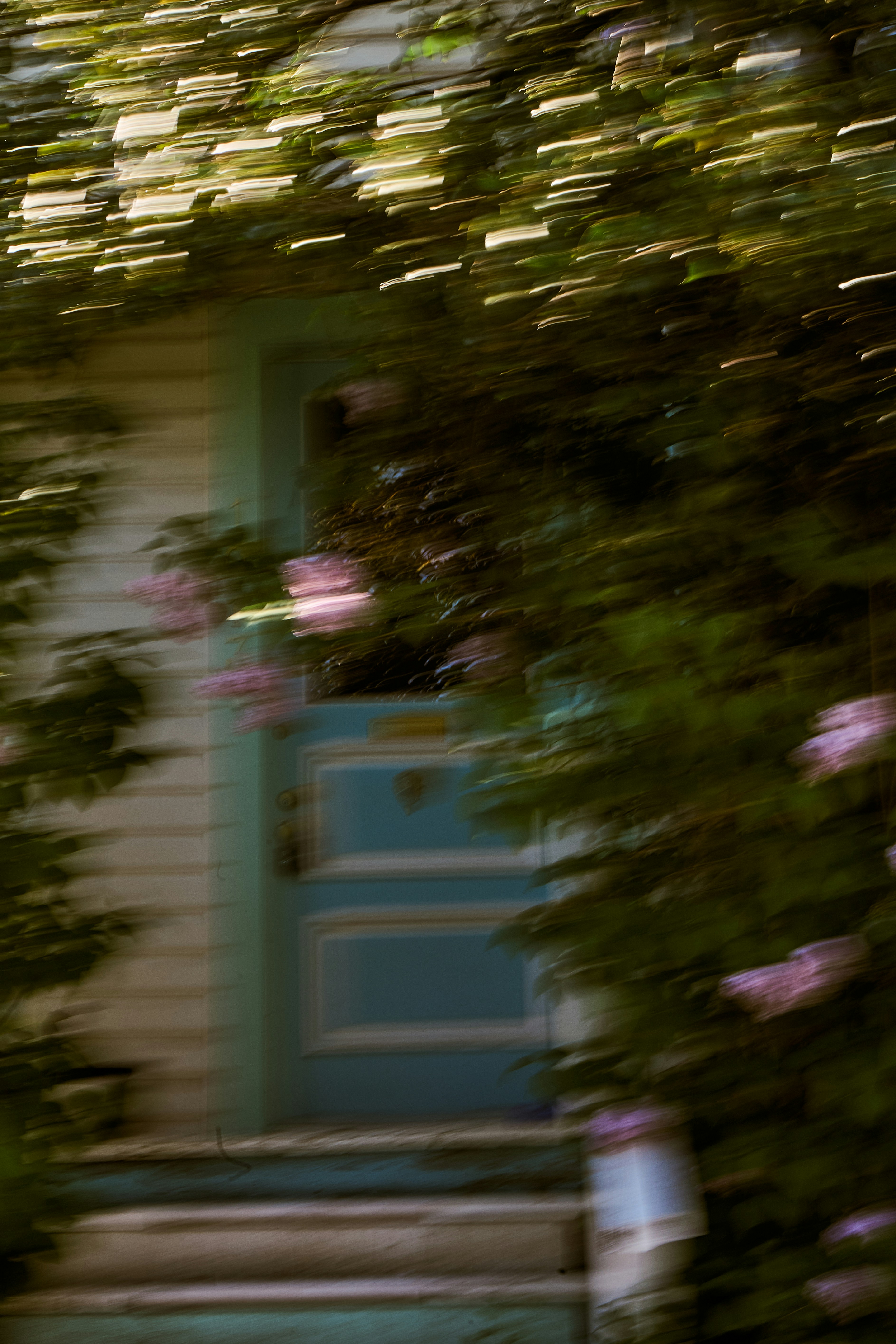 Blurred Blue Doorway: A Quiet Porch Veiled by Night-Blooming Vines