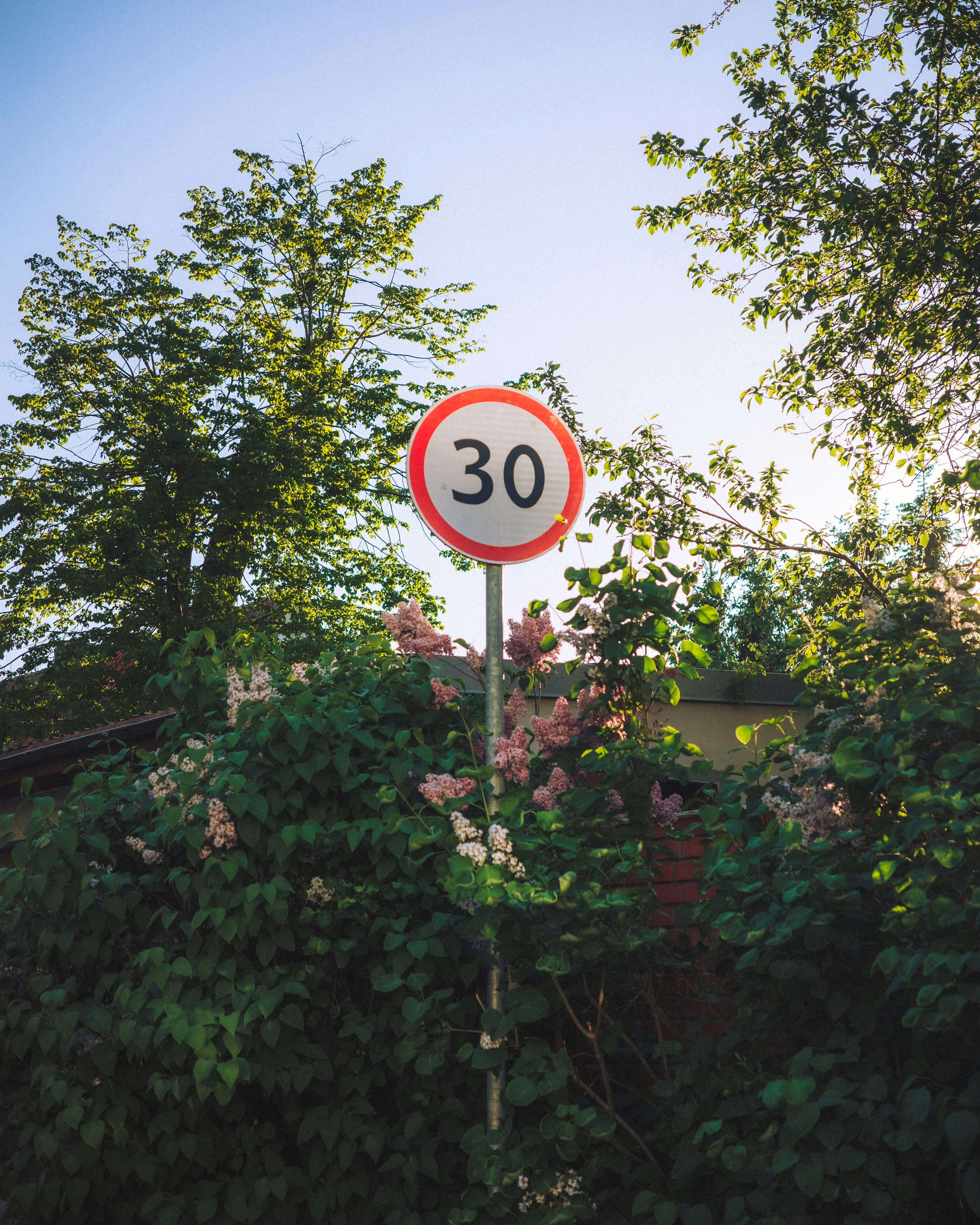 Sunlit 30 Sign Above a Garden Brink
