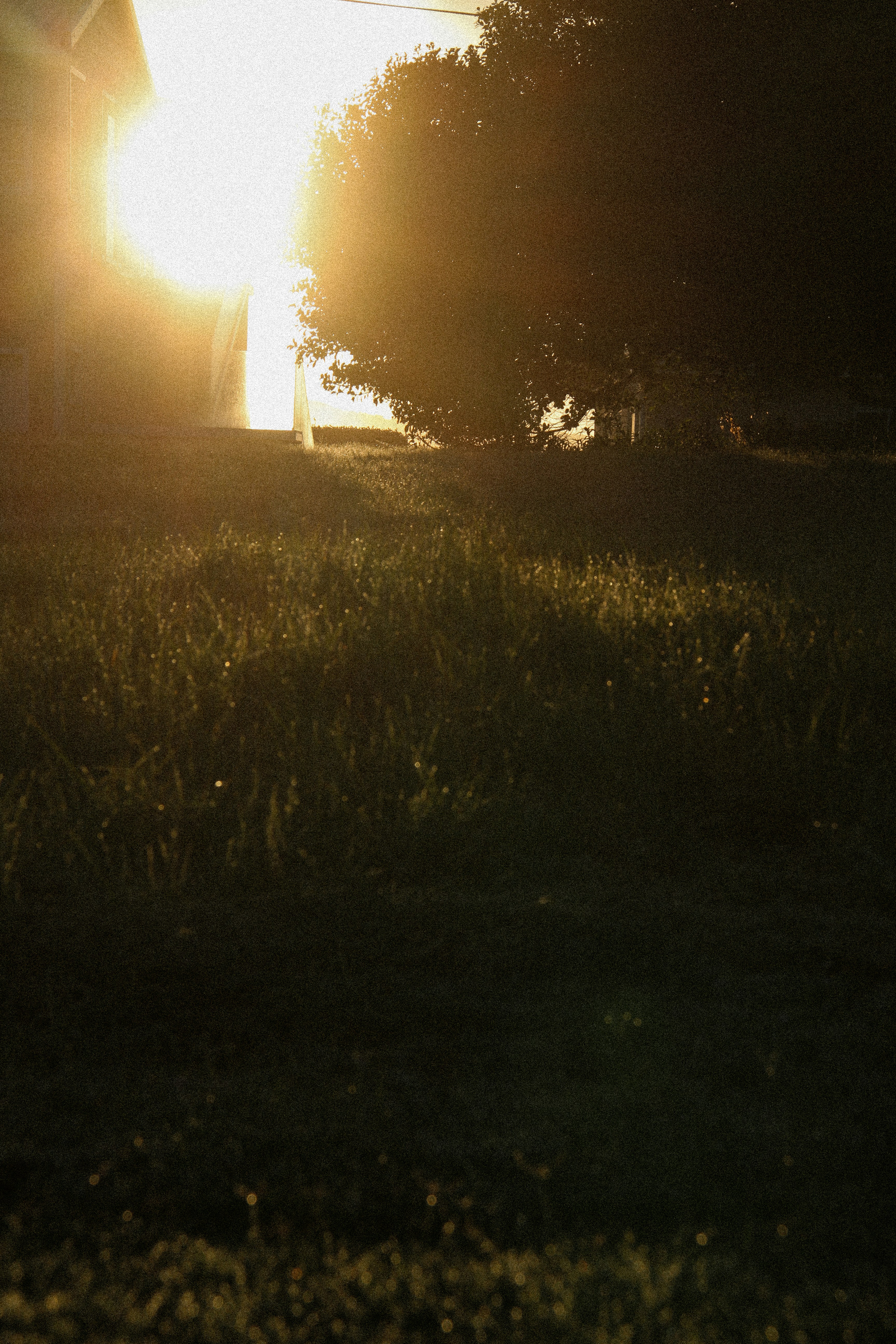 Golden Hour Overlook: A Quiet Yard in Dusk