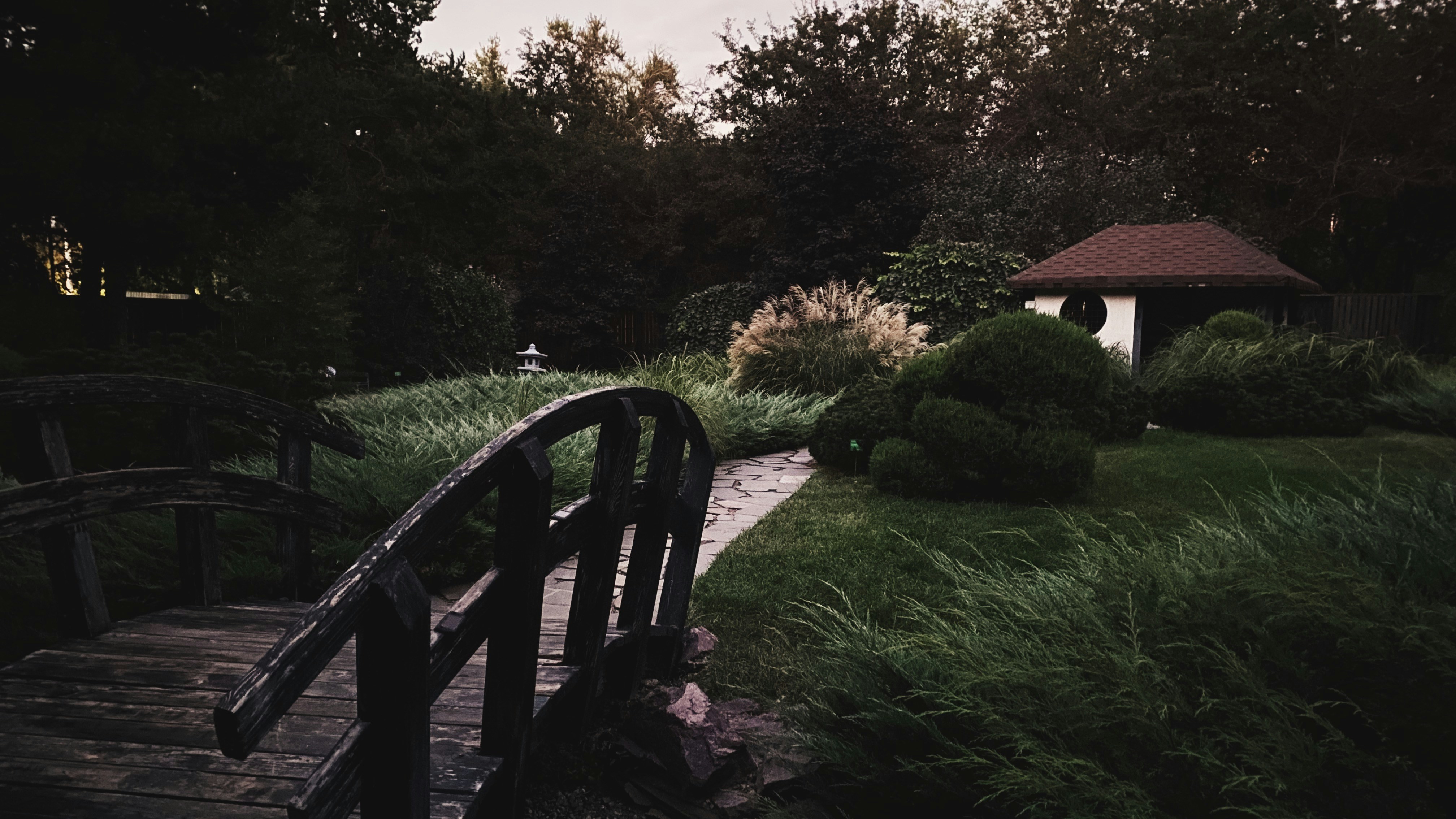 Evening Tranquility at the Garden Pond