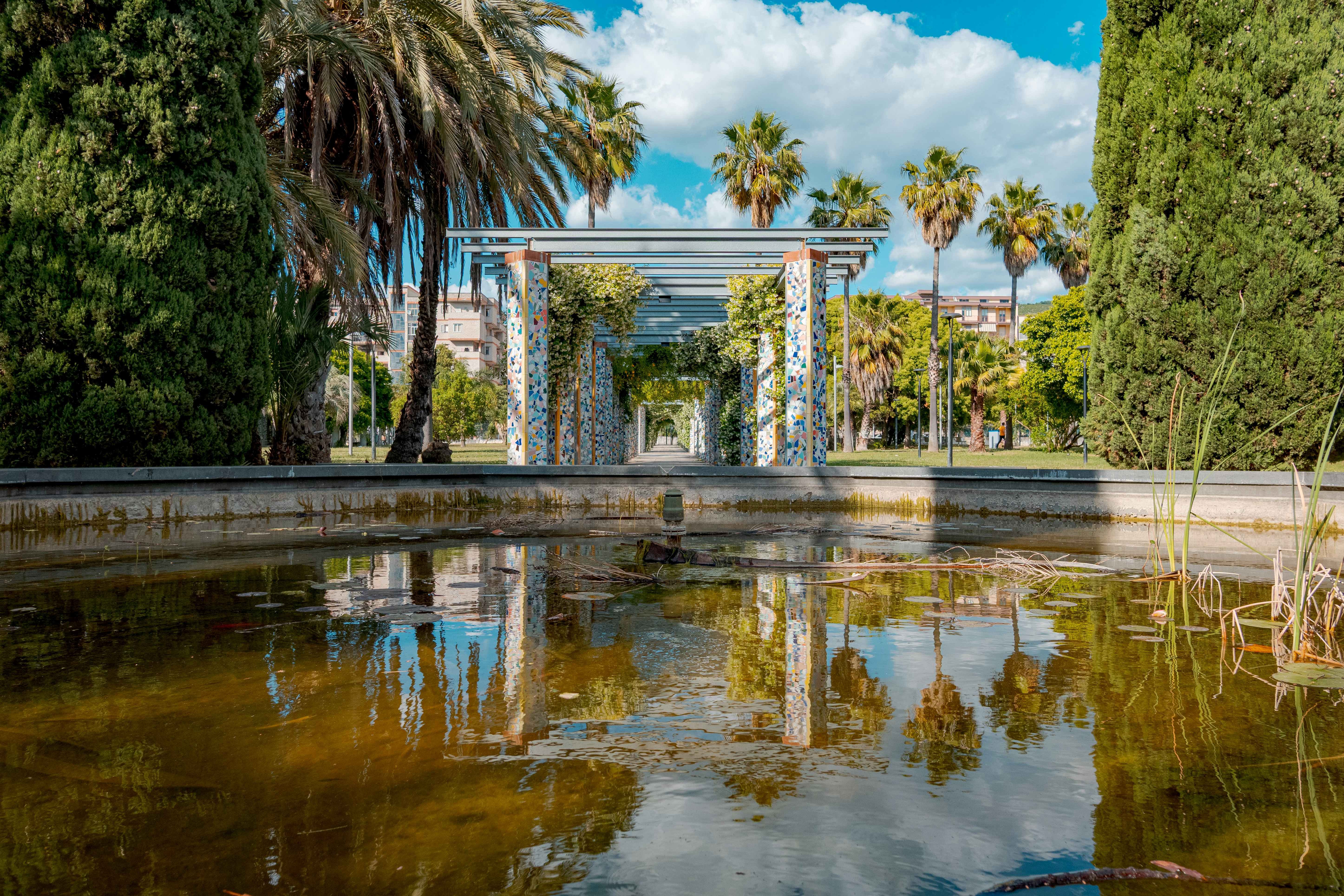 Reflection Gate: A Sunlit Walk Through a Palm-Frame Alley