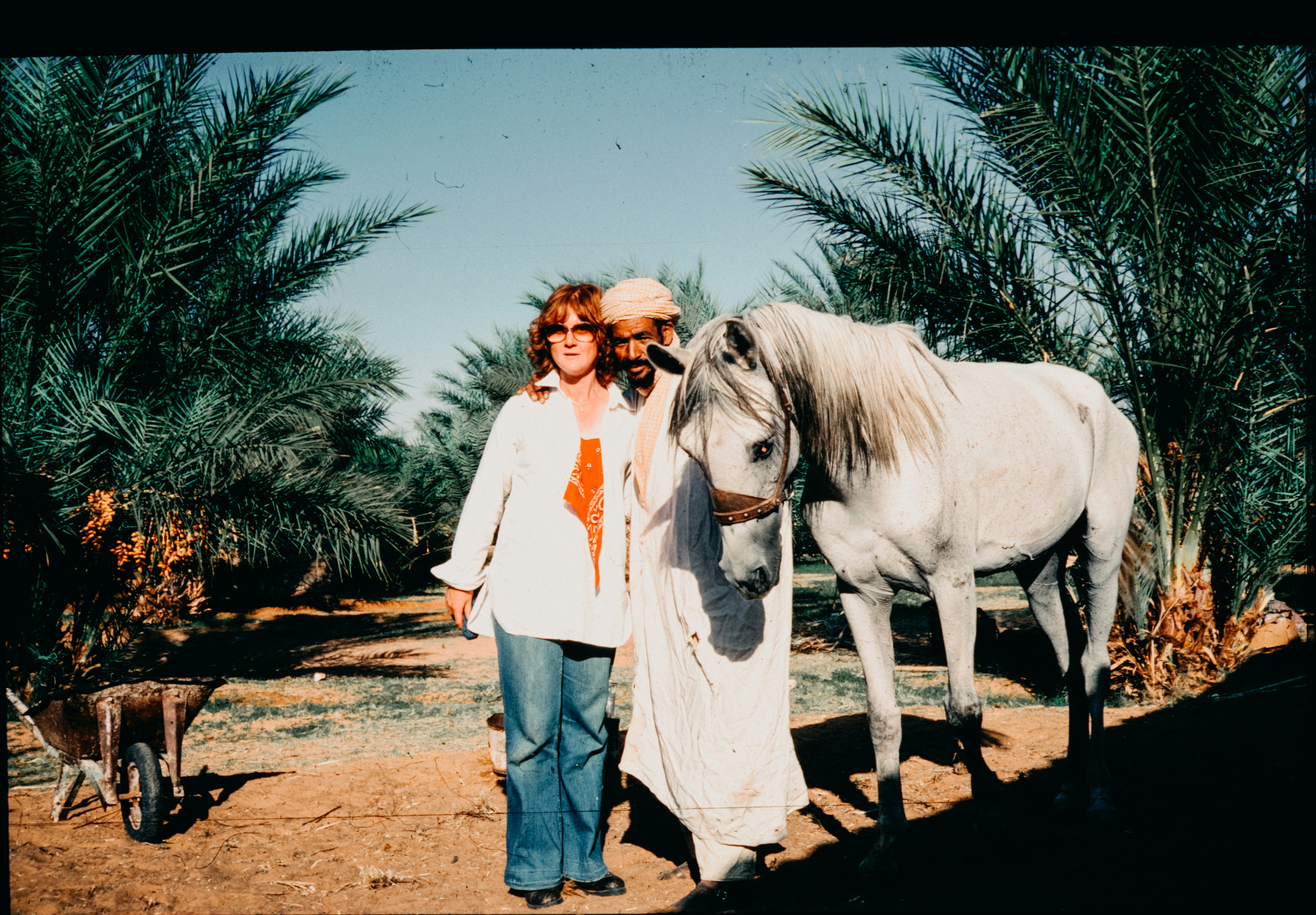 Desert companions: a sunlit moment with a white horse