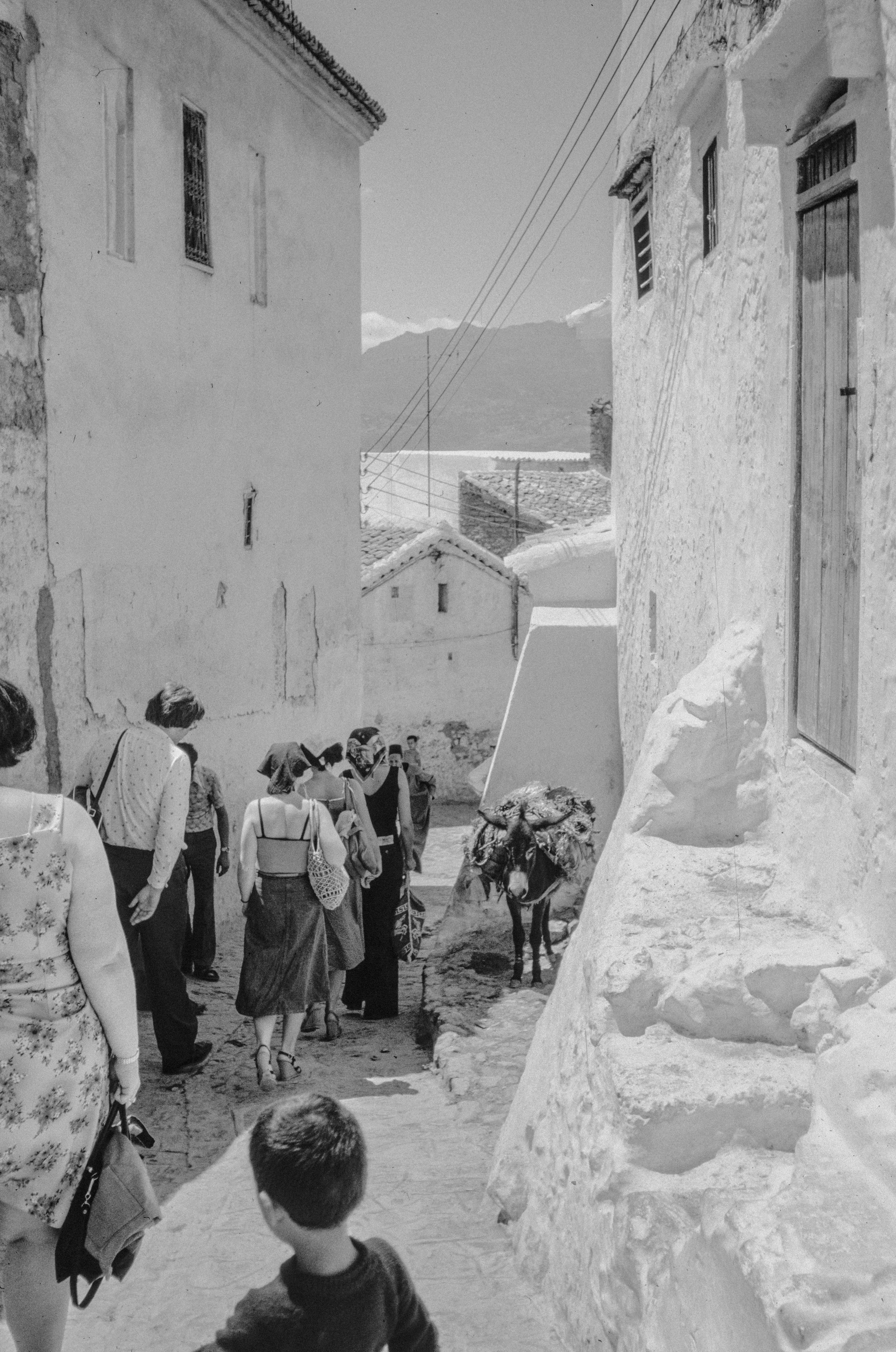 Pastel Shadows in a White-Cobbled Lane