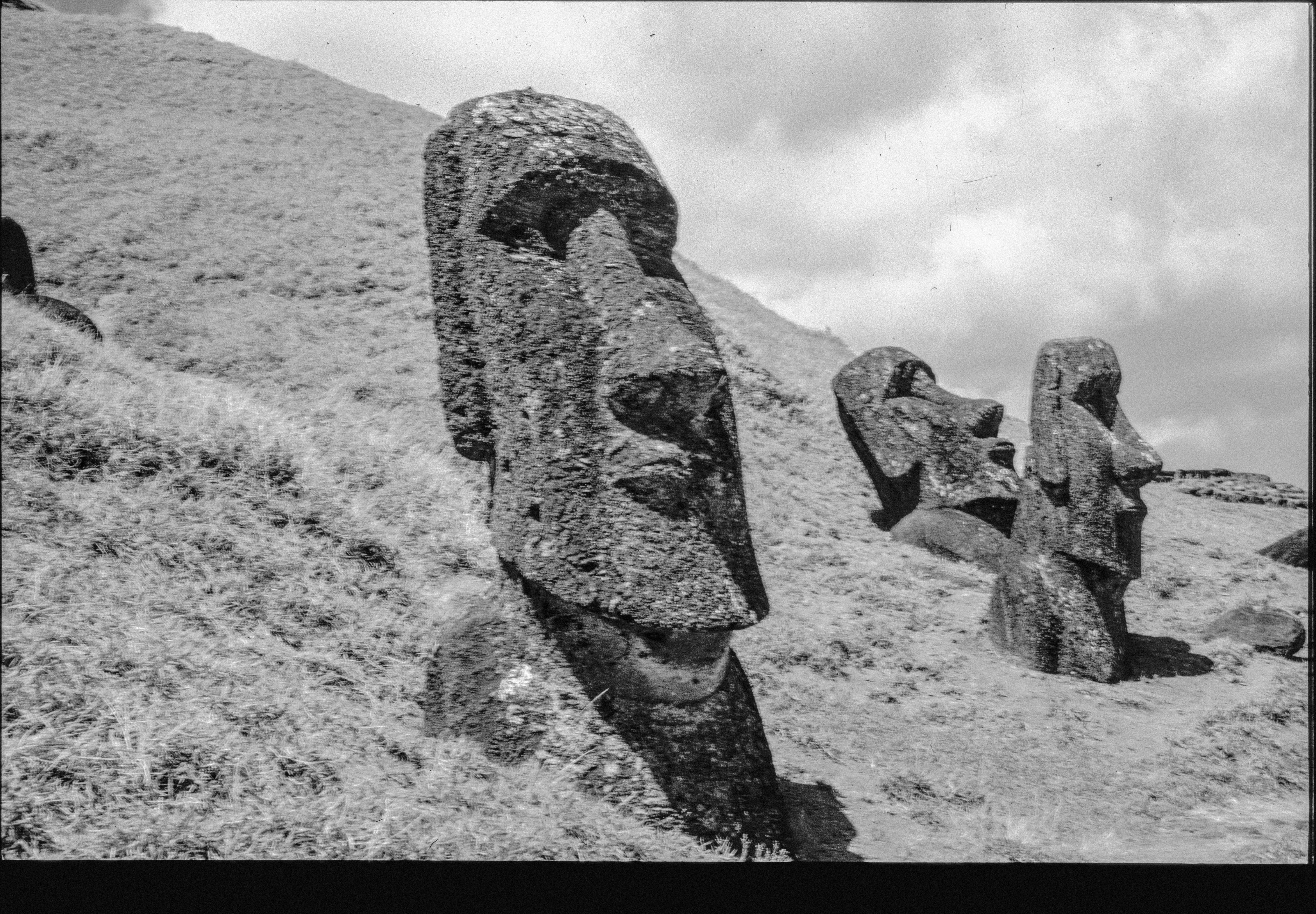 Stone Sentinels of the Ridge