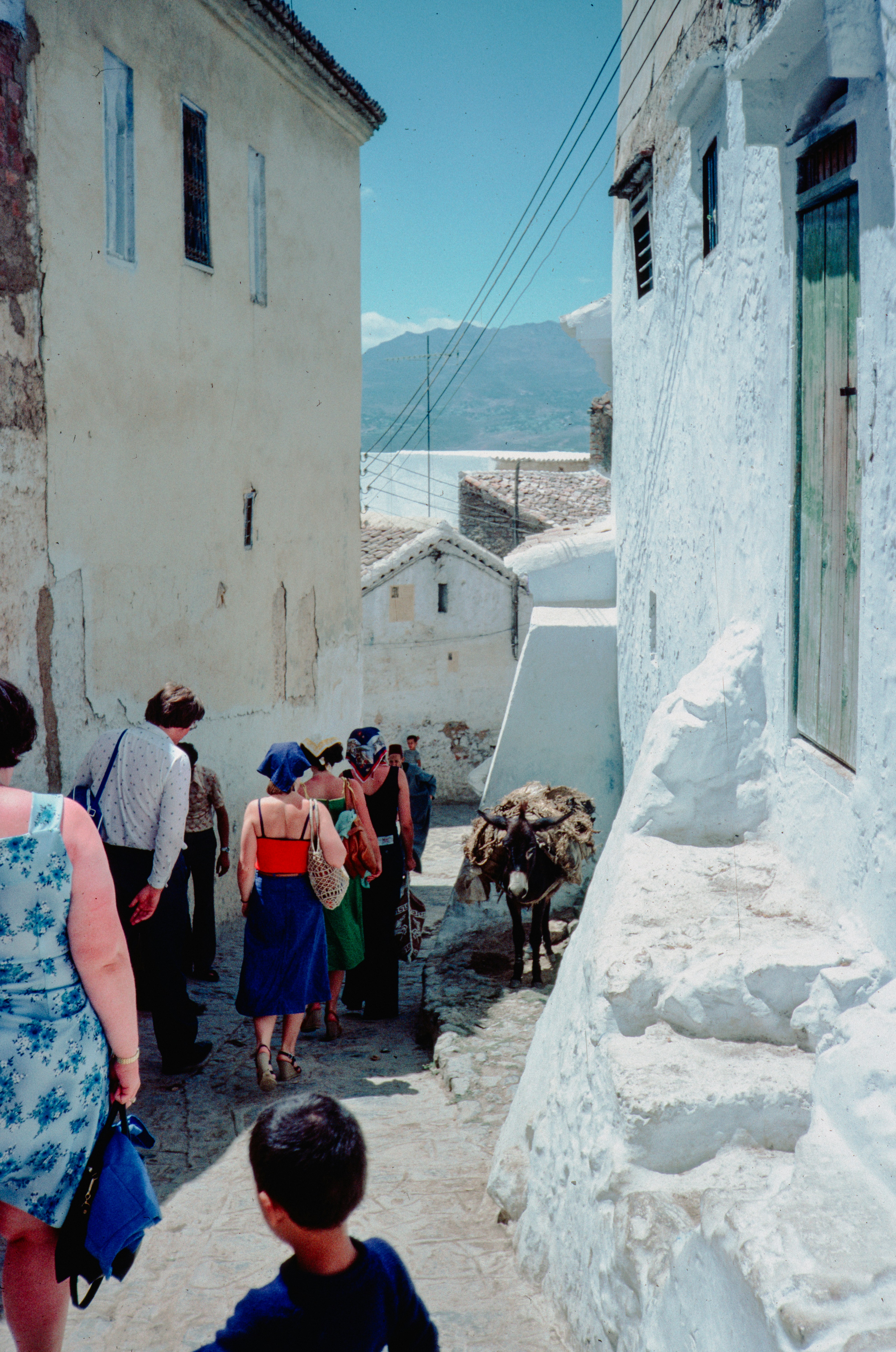 Blue-and-White Lane: Tourists and Donkey in a Cycladic Alley