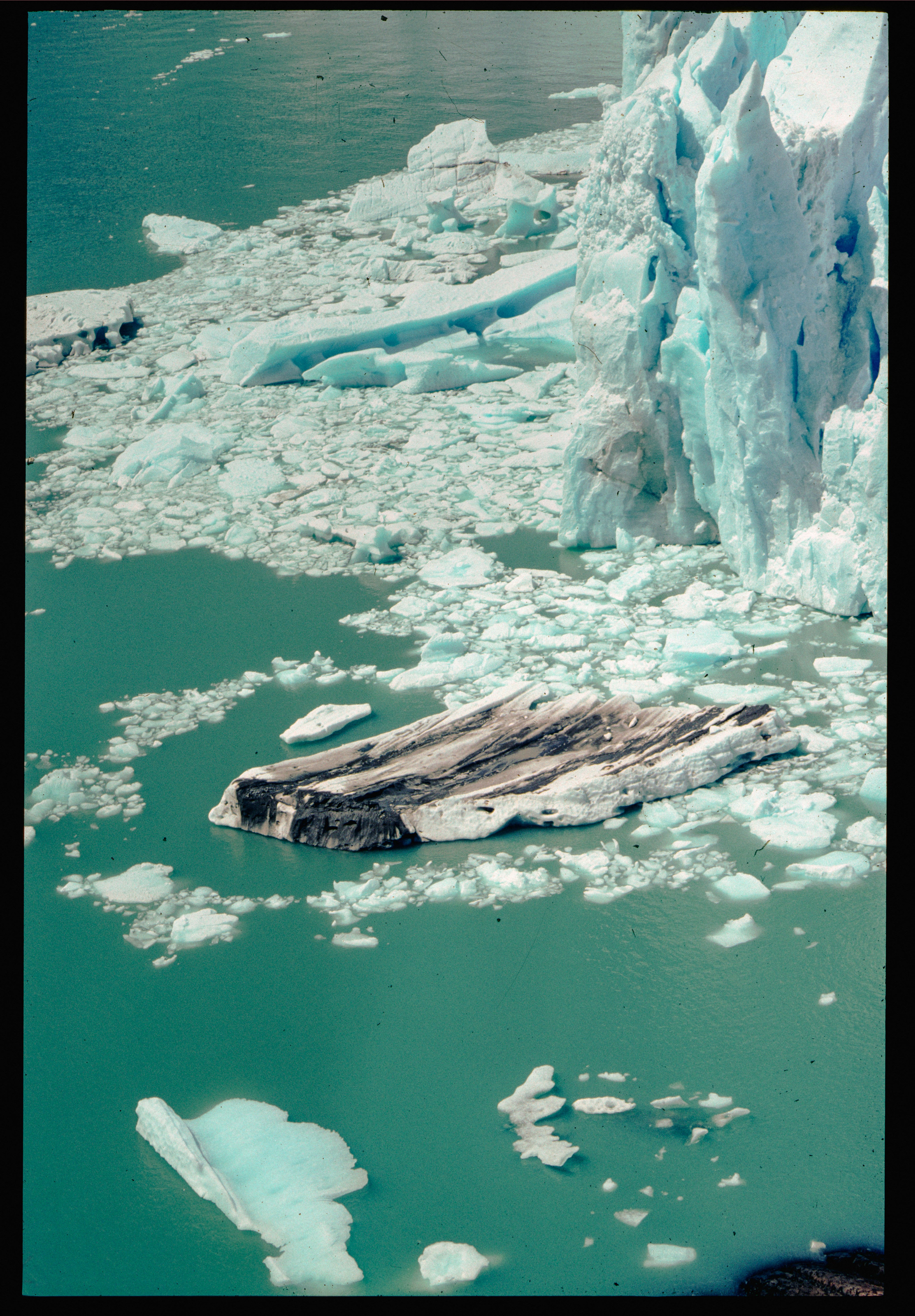 Icebound Drift: A Weathered Log Beside a Glacial Wall