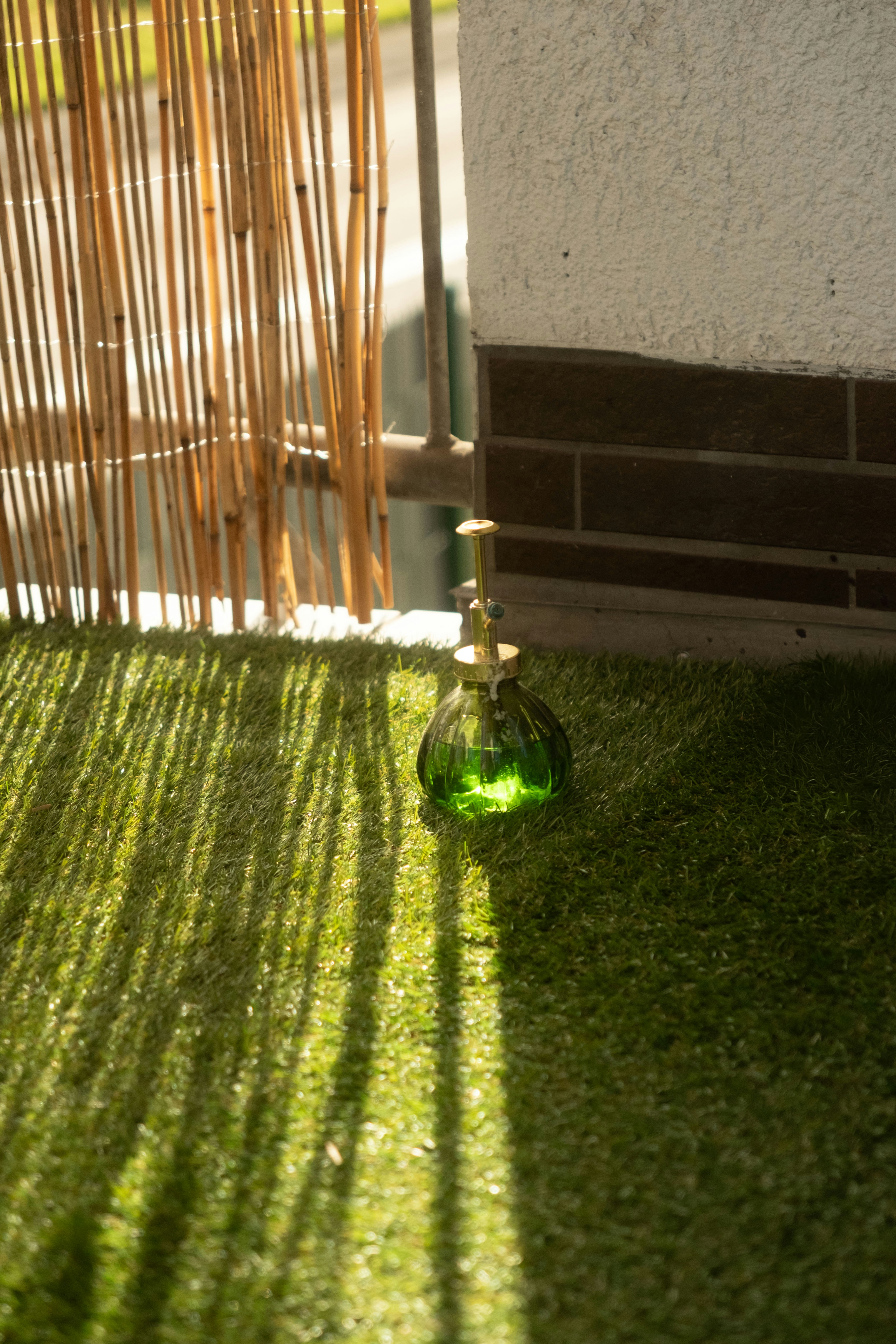 Green Alchemy in Dappled Shade