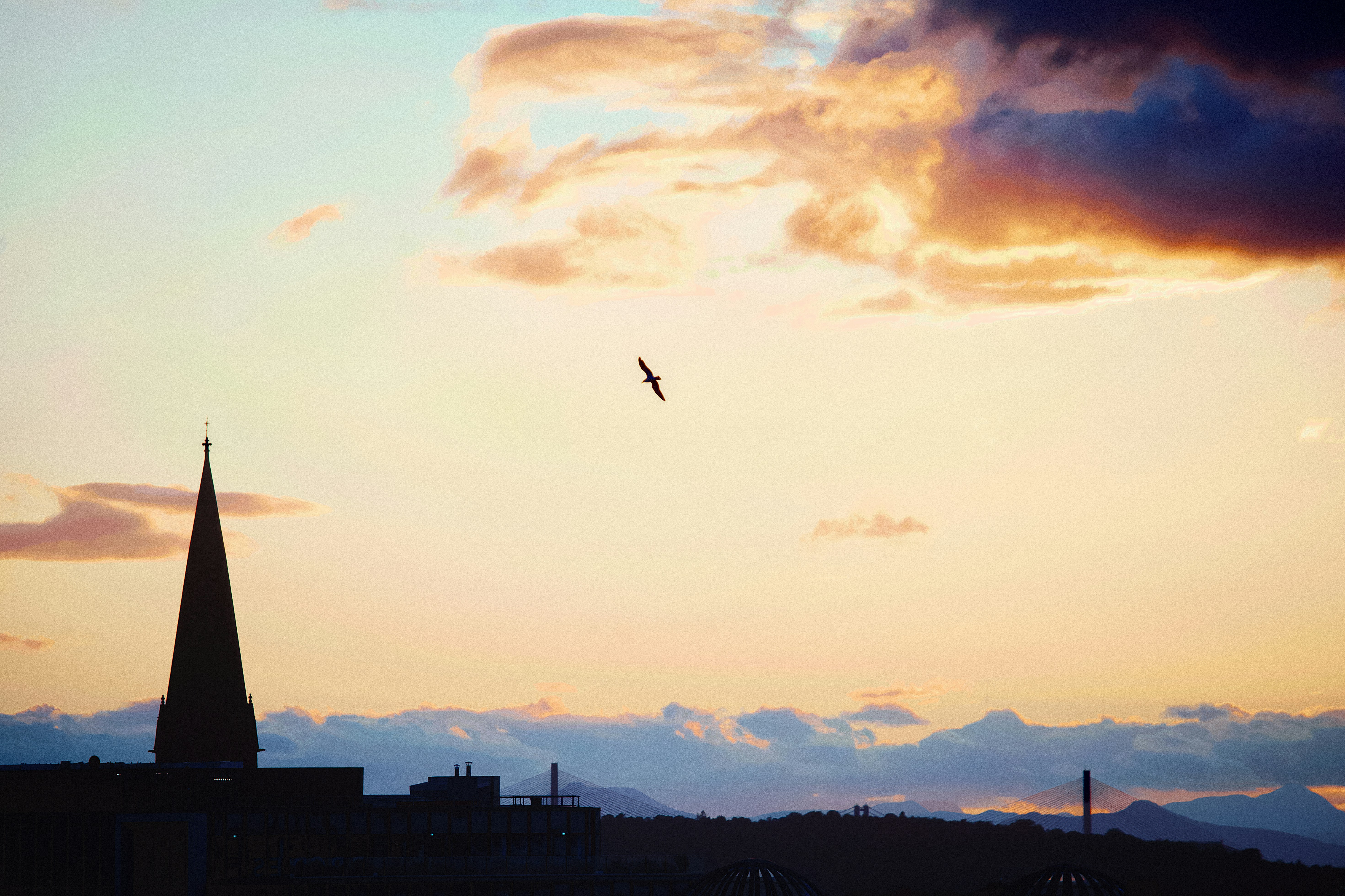 Silhouette Choir: A City Skyline at Dusk with a Lone Horizon Bird