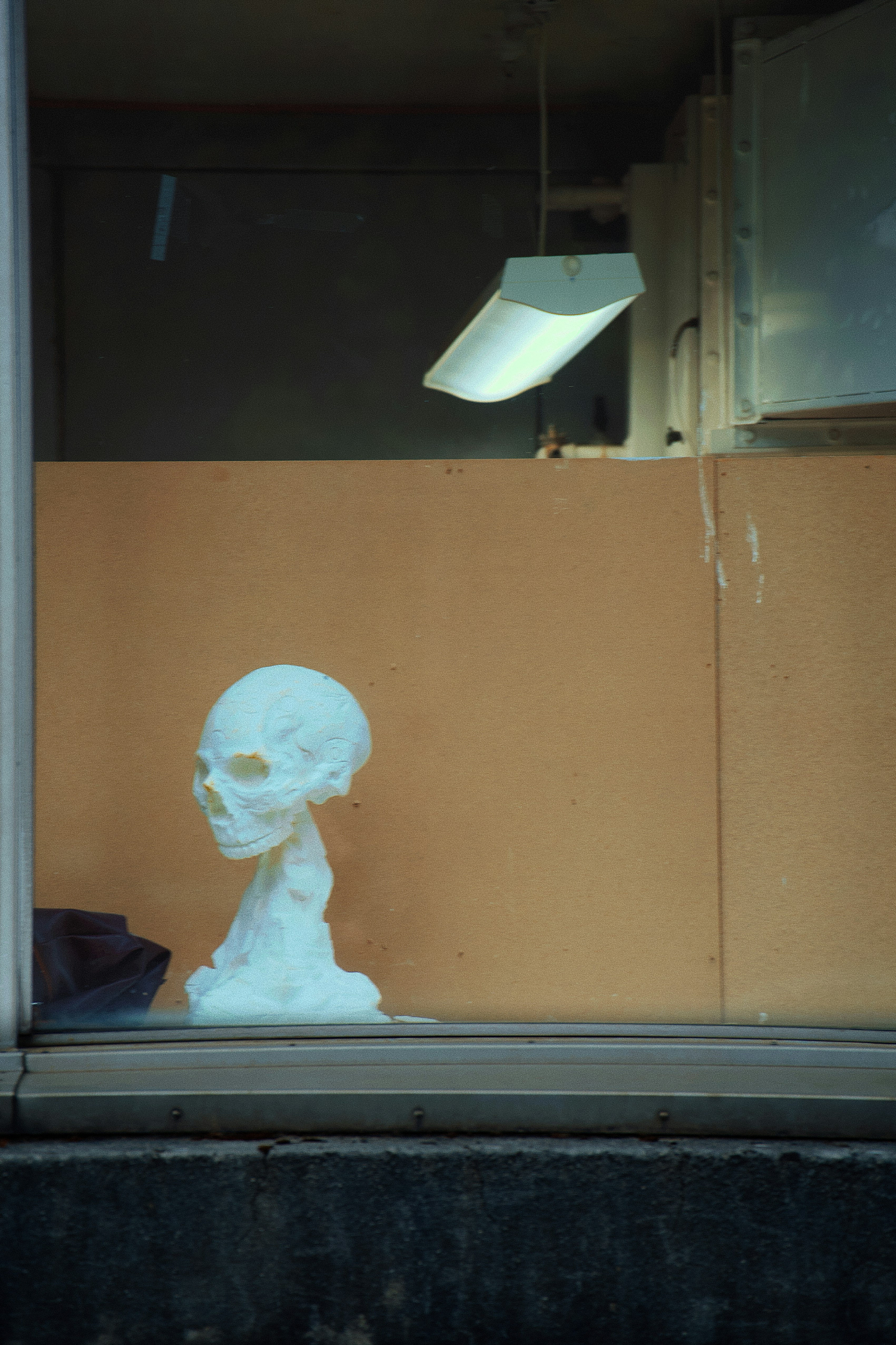 White Bust in a Windowed Studio: An Unconventional Study of Light