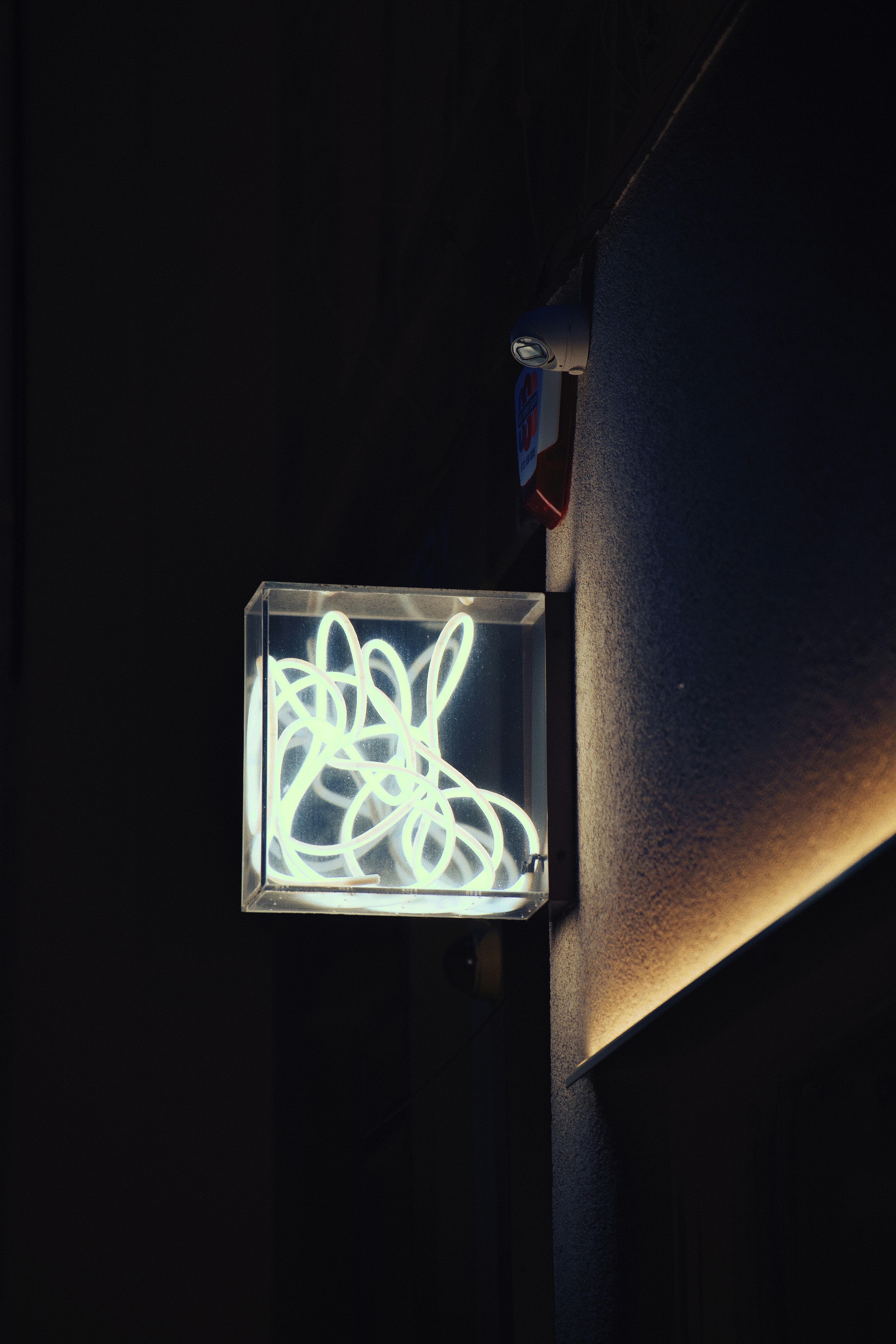 Neon Scribble in a Night Facade
