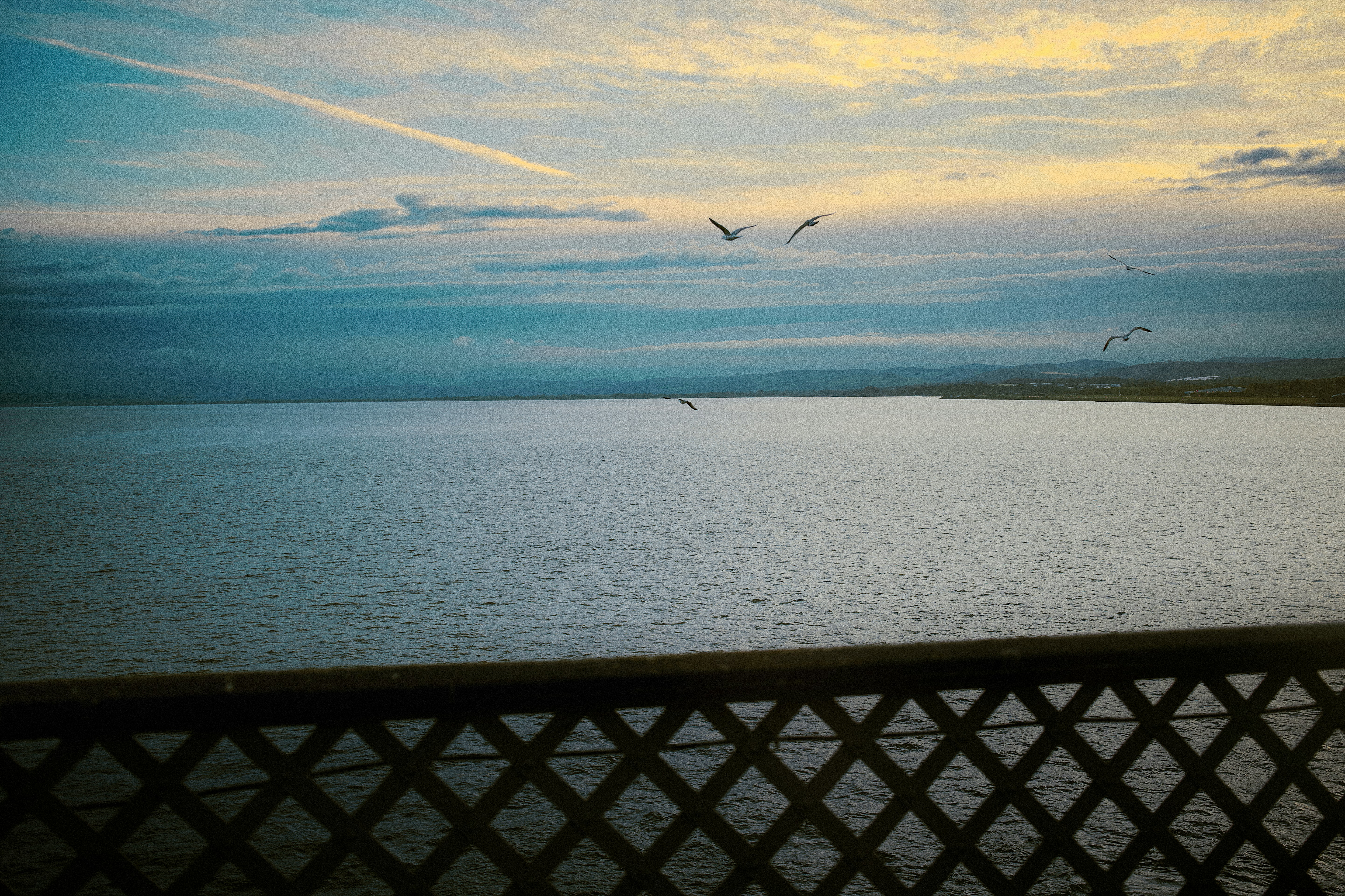 Sea Breeze Over the Lattice Deck