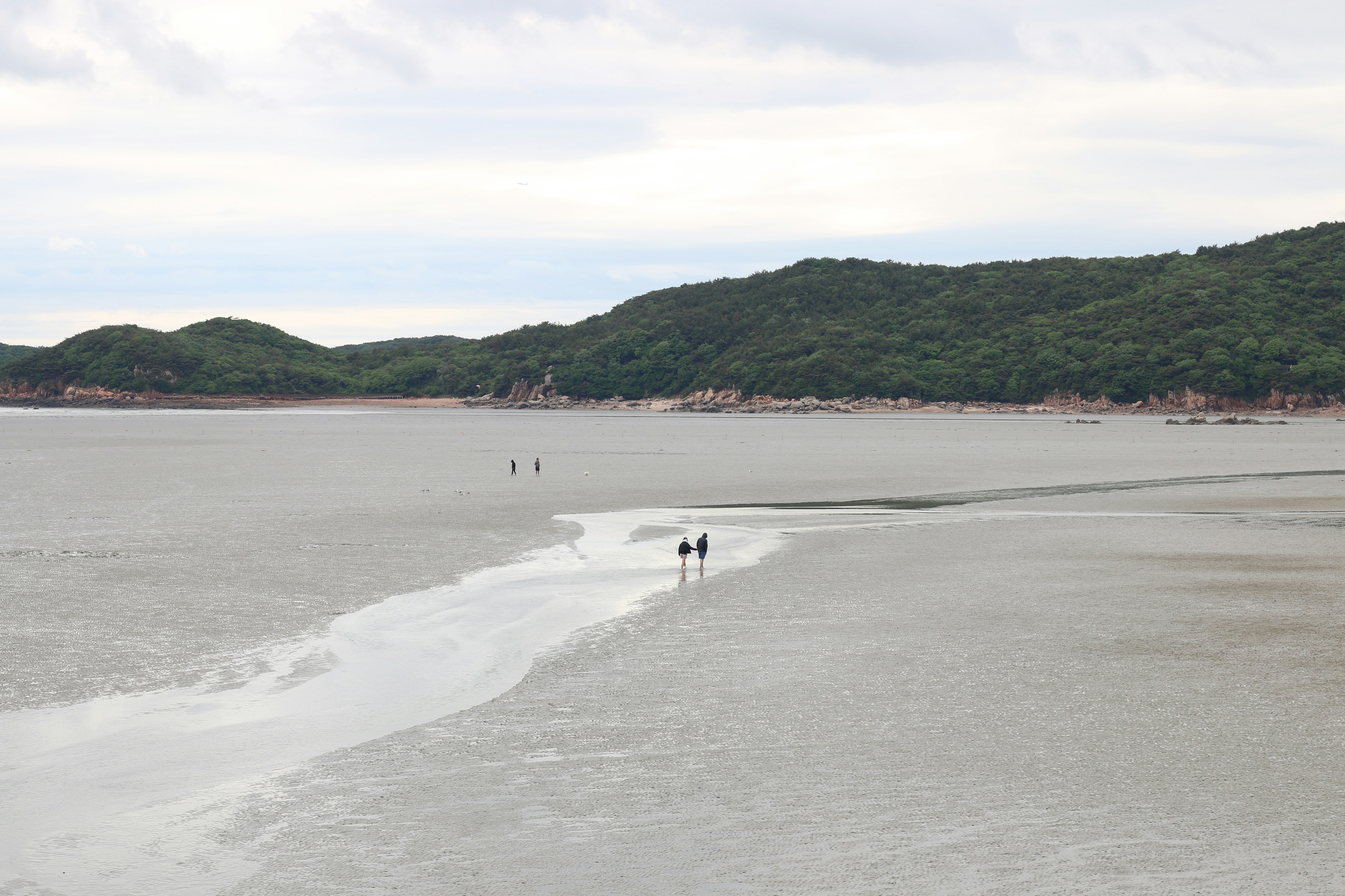 Horizon Walkers at the Tidal Plain