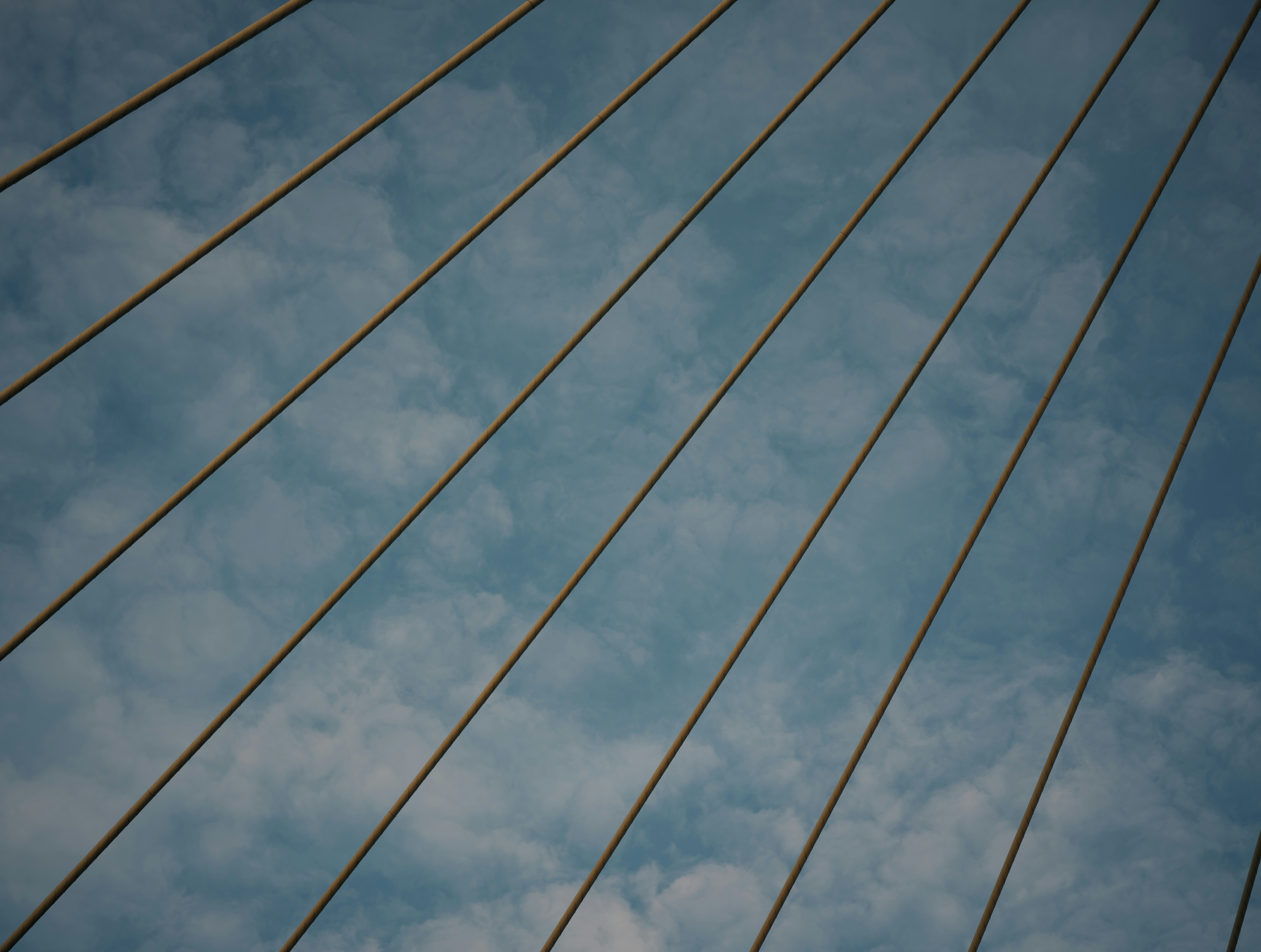 Parallel Lines Meet the Sky