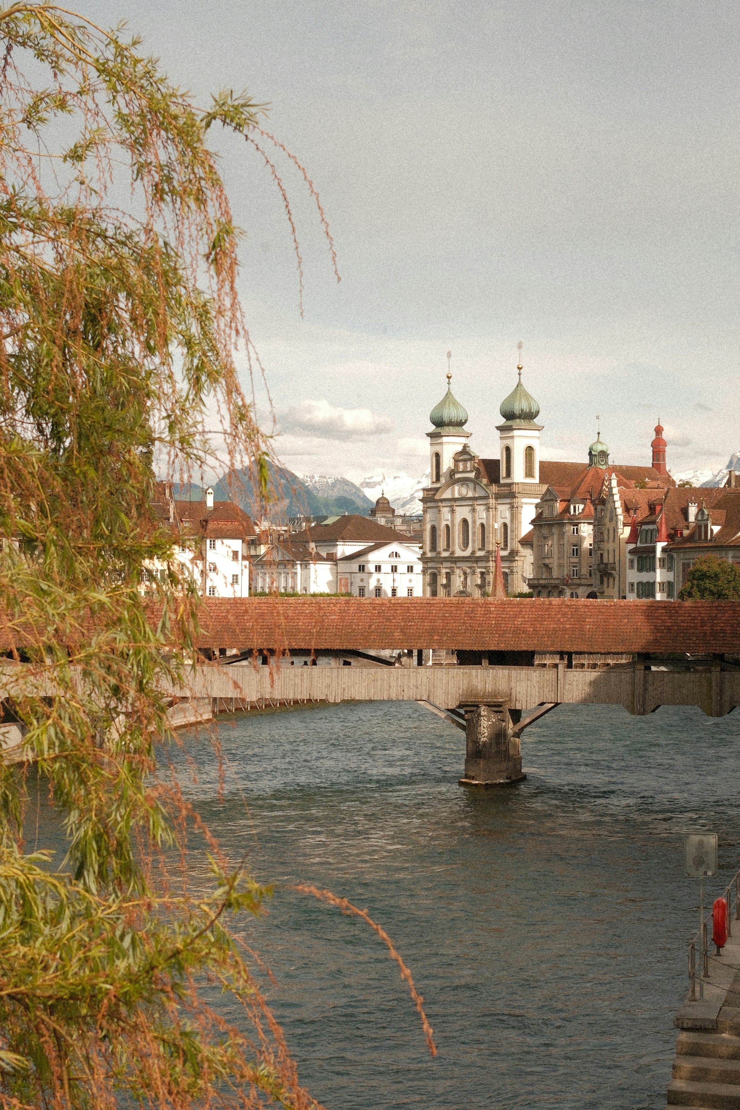 Willow on the Waterfront: A Bavarian Town by the Bridge