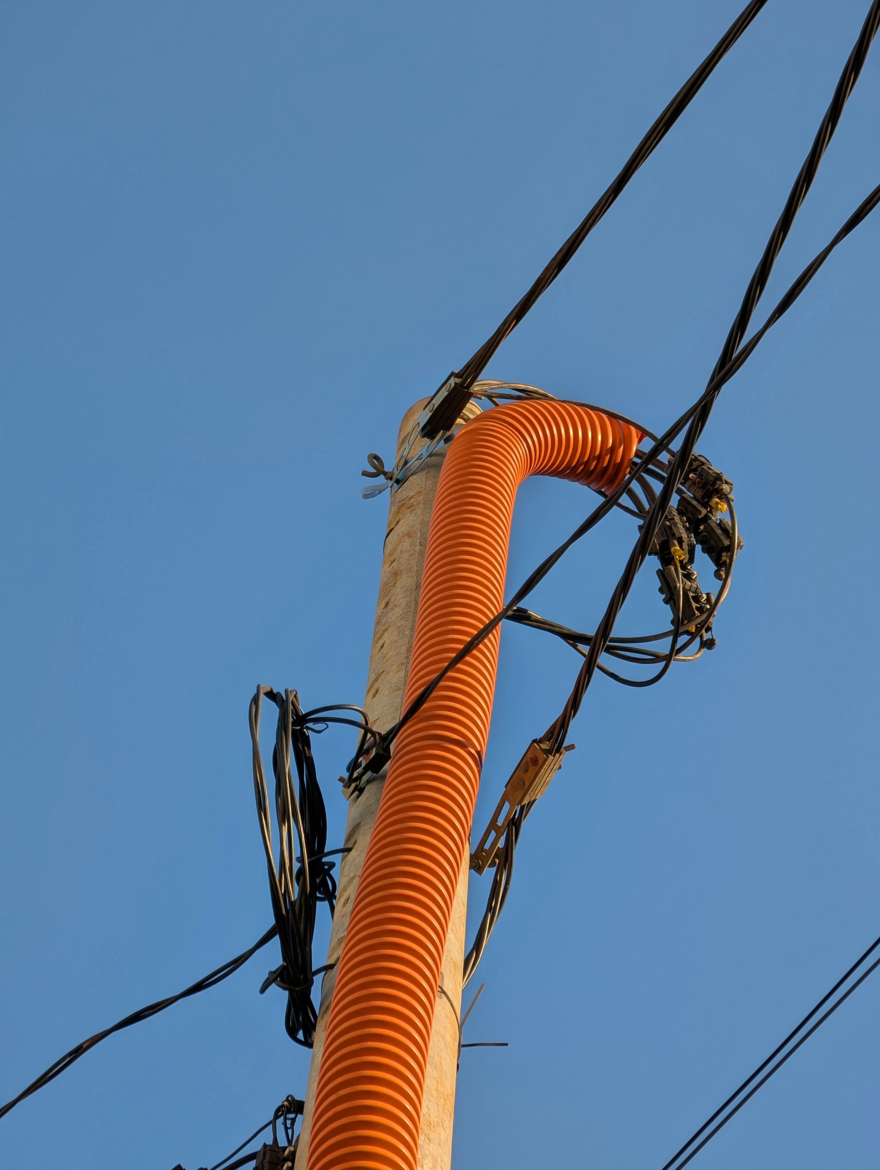 Coiled orange conduit winding along a weathered utility pole